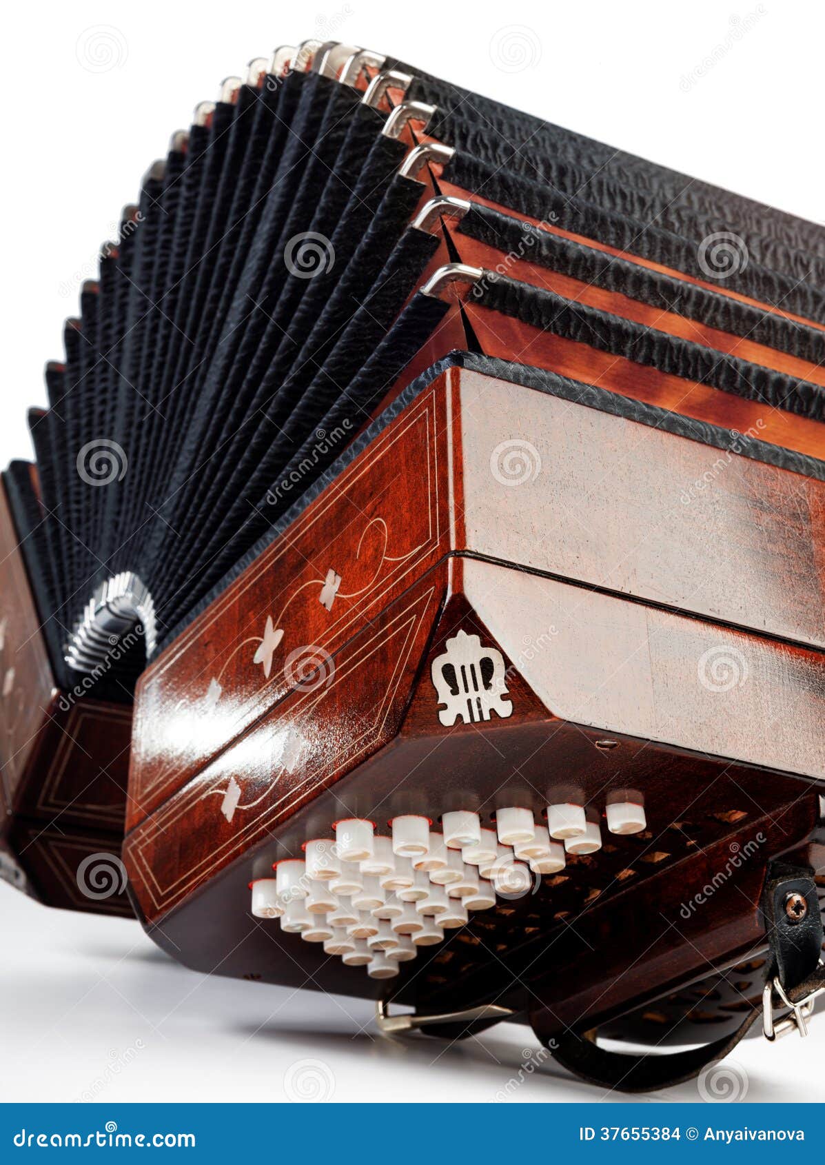 Bandoneon, Instrument De Tango Photo stock - Image du magenta, passion ...