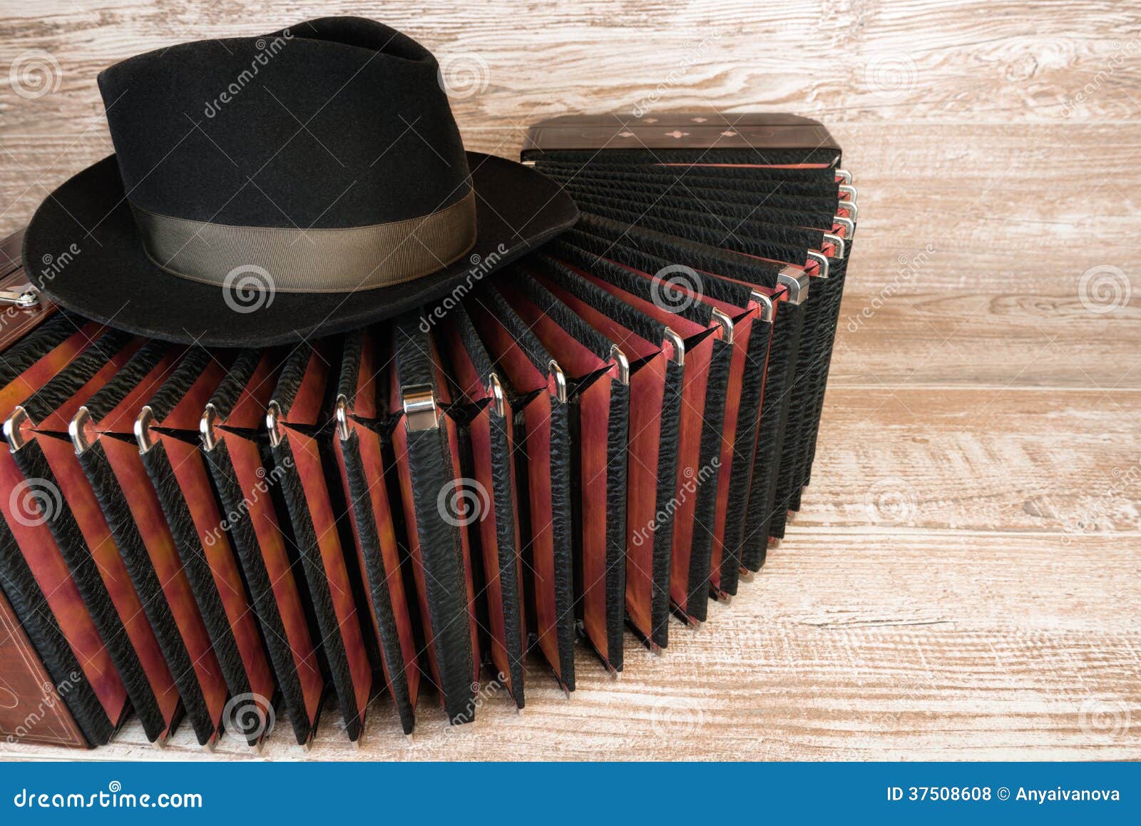 Bandoneon, Instrument De Tango, Et Un Chapeau Photo stock - Image du ...