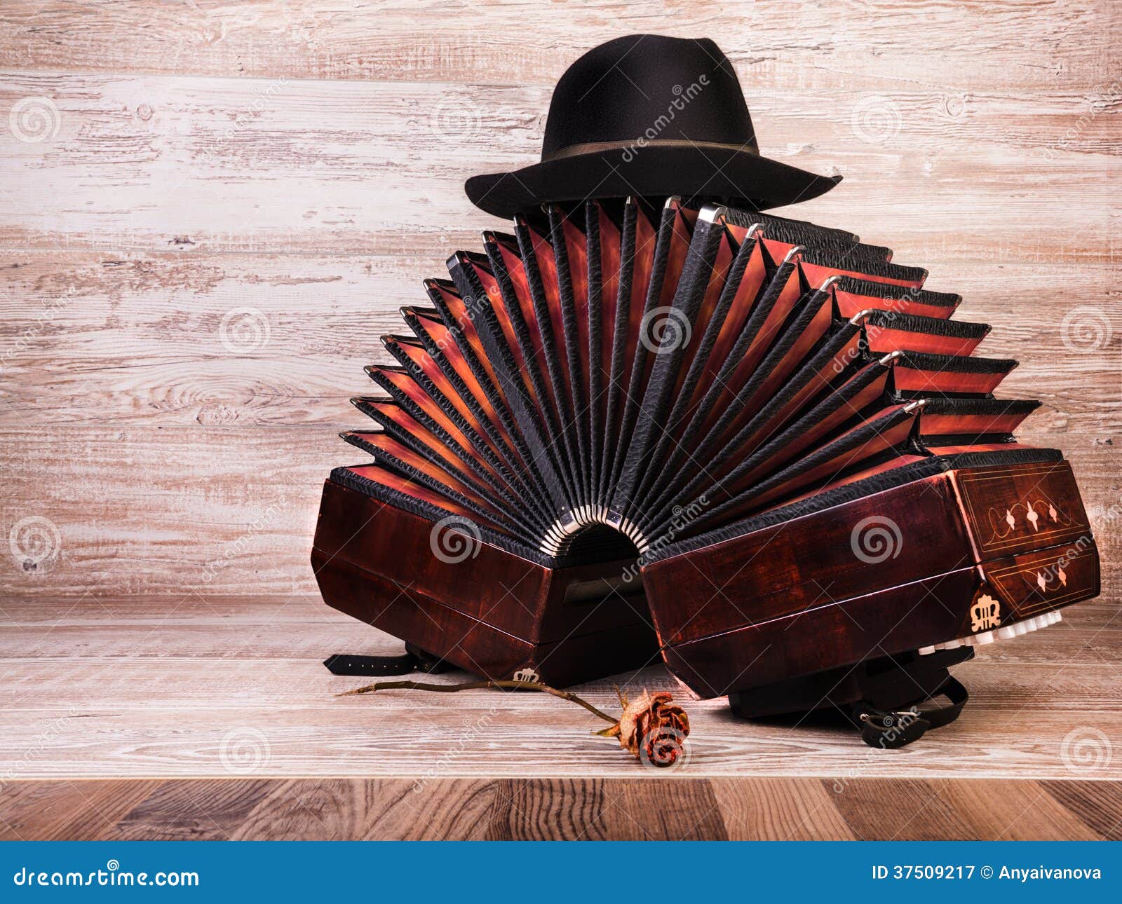 Bandoneon, Instrument De Tango, Et Une Hutte Image stock - Image du ...