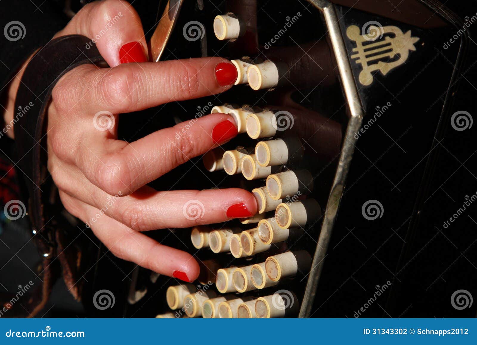 Bandoneon stock photo. Image of instrument, keyboard - 31343302