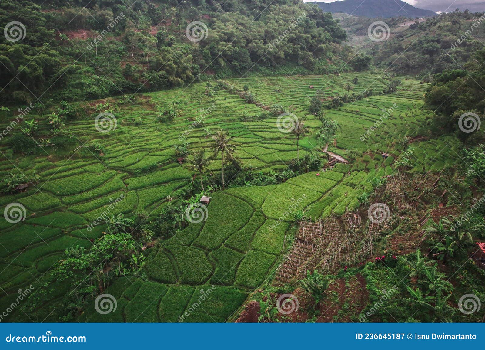Bandung from Above 2 stock image. Image of panorama - 236645187