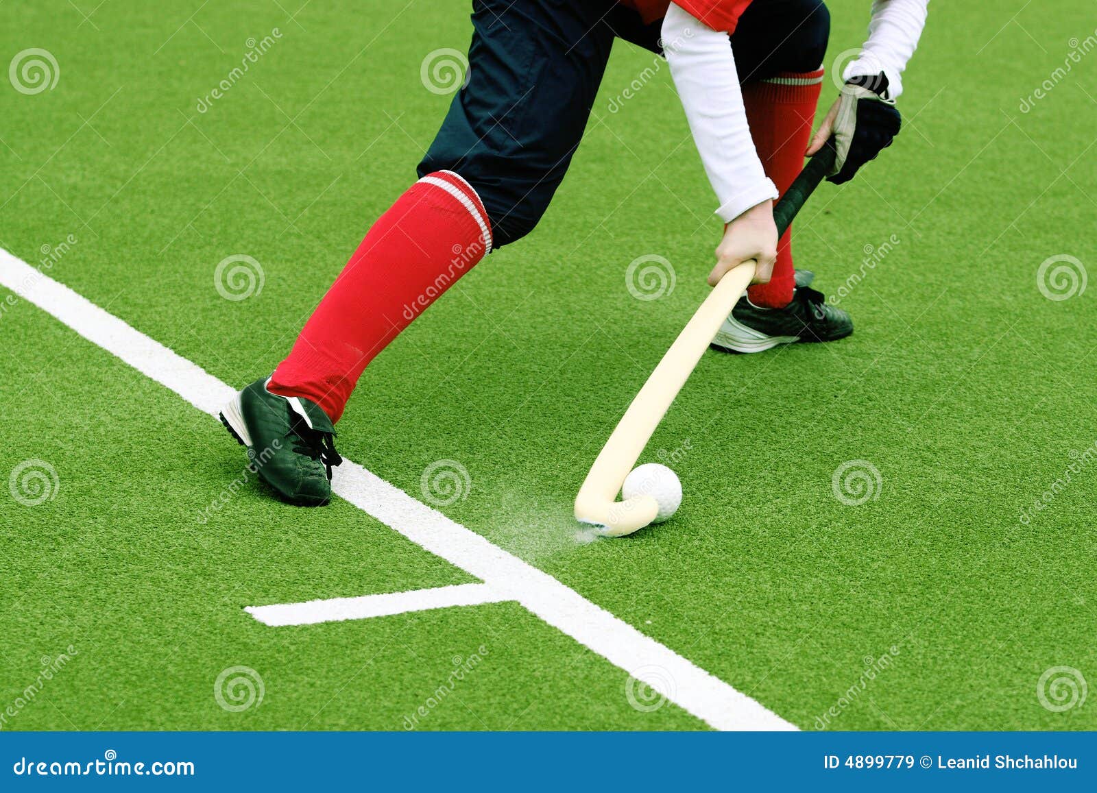 Bandy on a grass stock image. Image of foot, pursuit, human - 4899779