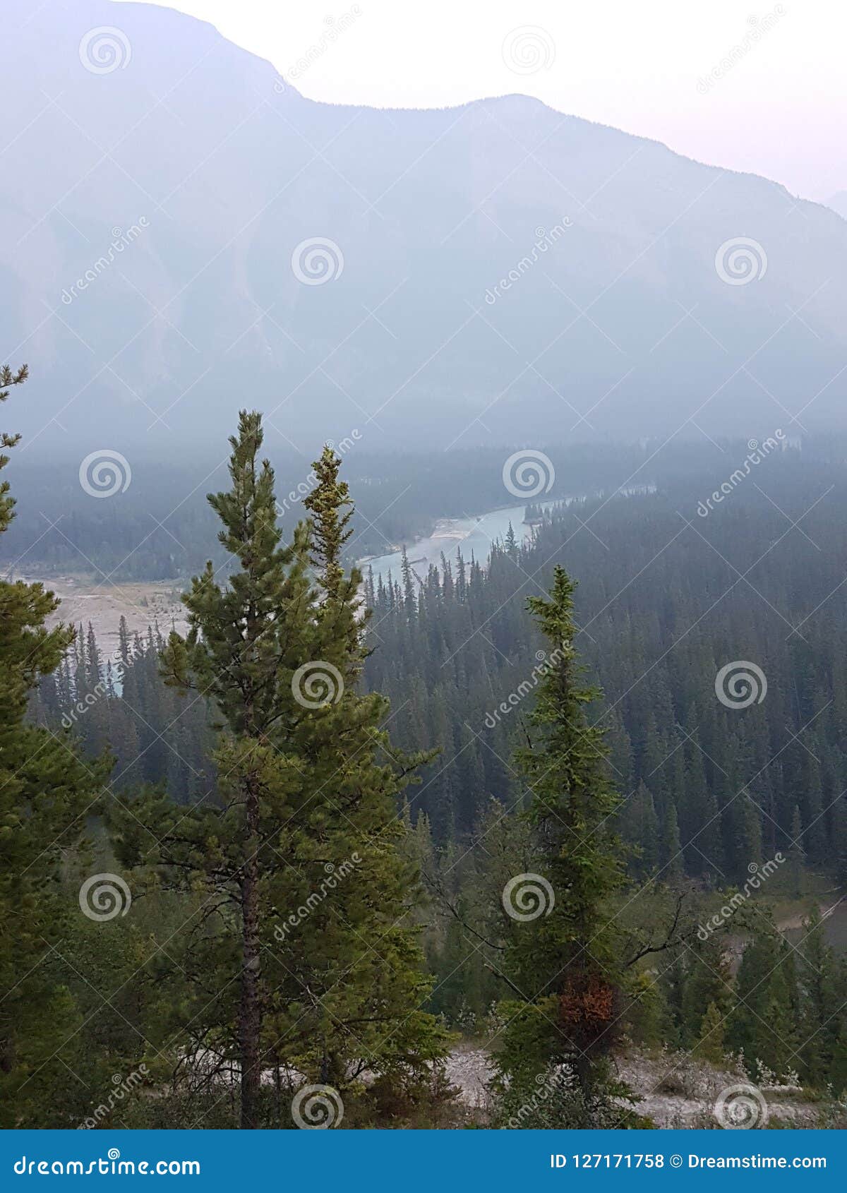 Banff stock photo. Image of nature, trees, forest, banff - 127171758