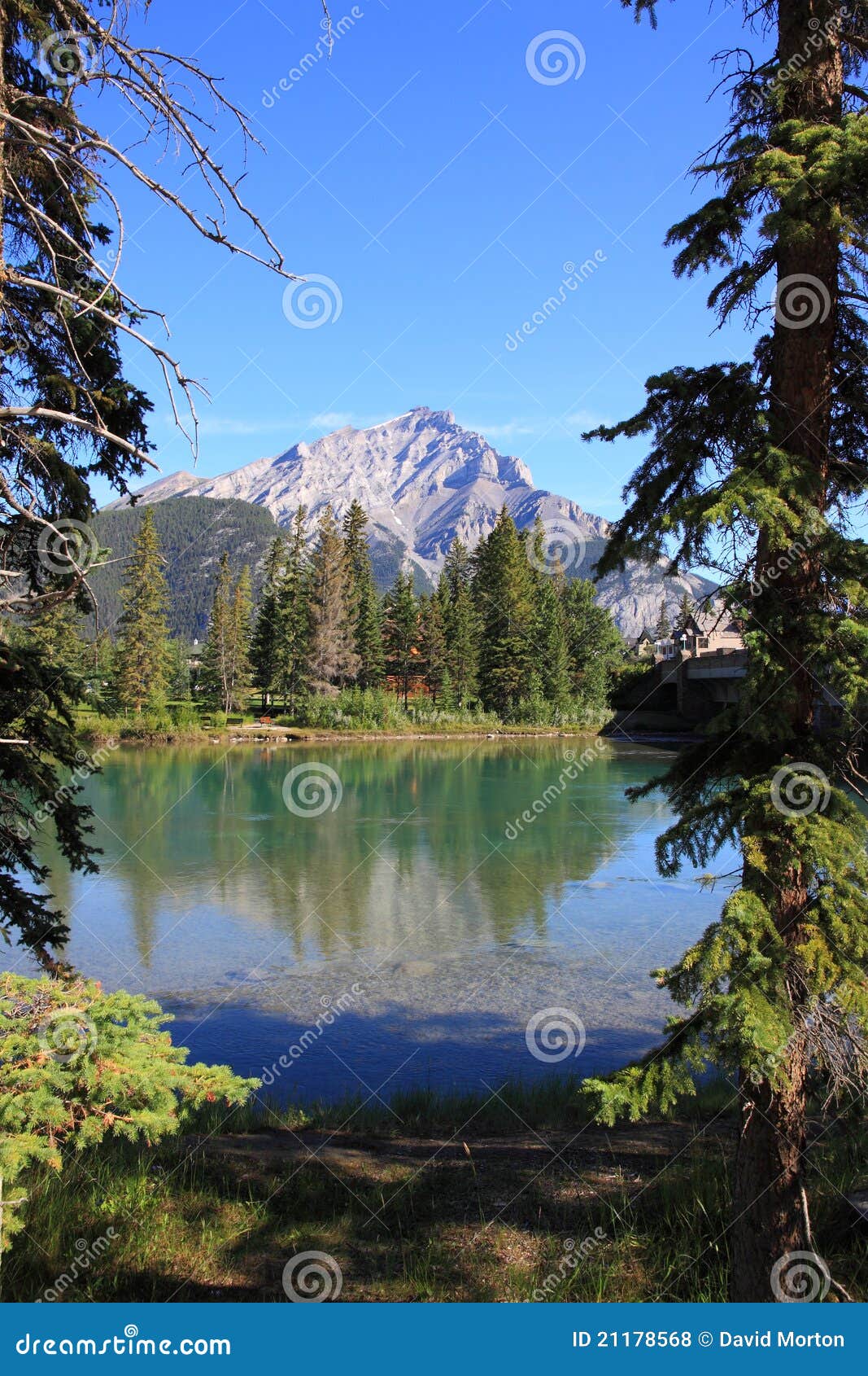 Banff - river bow stock photo. Image of banff, tree, canada - 21178568