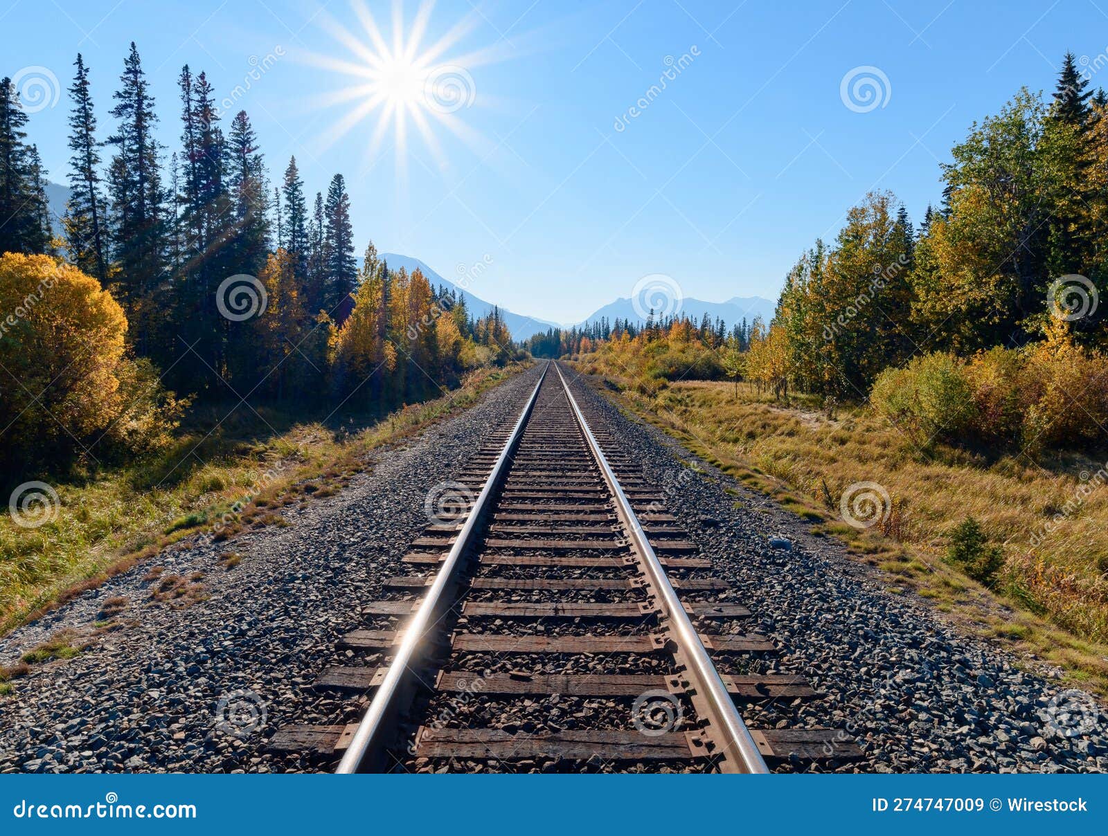 Banff Train Tracks with Sun 2 Stock Image - Image of forest, fairmont ...
