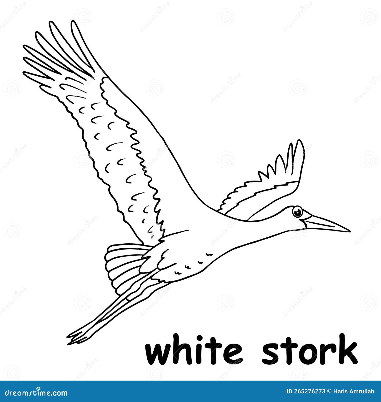 Kids Line Illustration Coloring White Stork. Outline Vector for ...