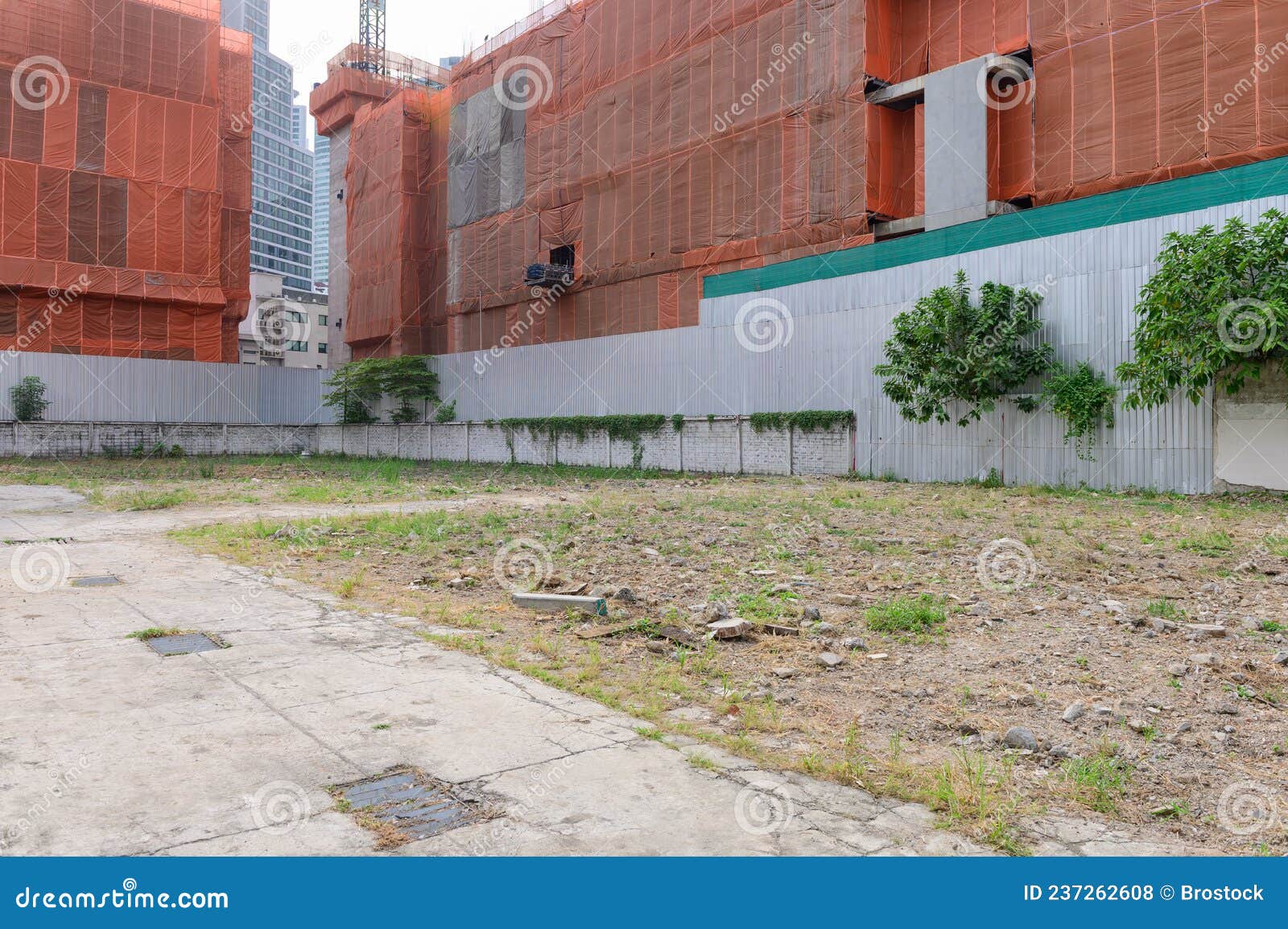 Bangkok Vacant Lot with Overgrown Plants Stock Photo - Image of area ...