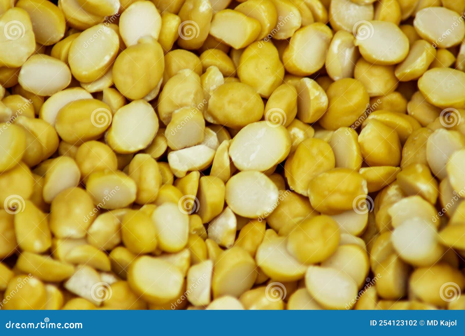 Bangla boot dal stock photo. Image of yellow, food, meal - 254123102
