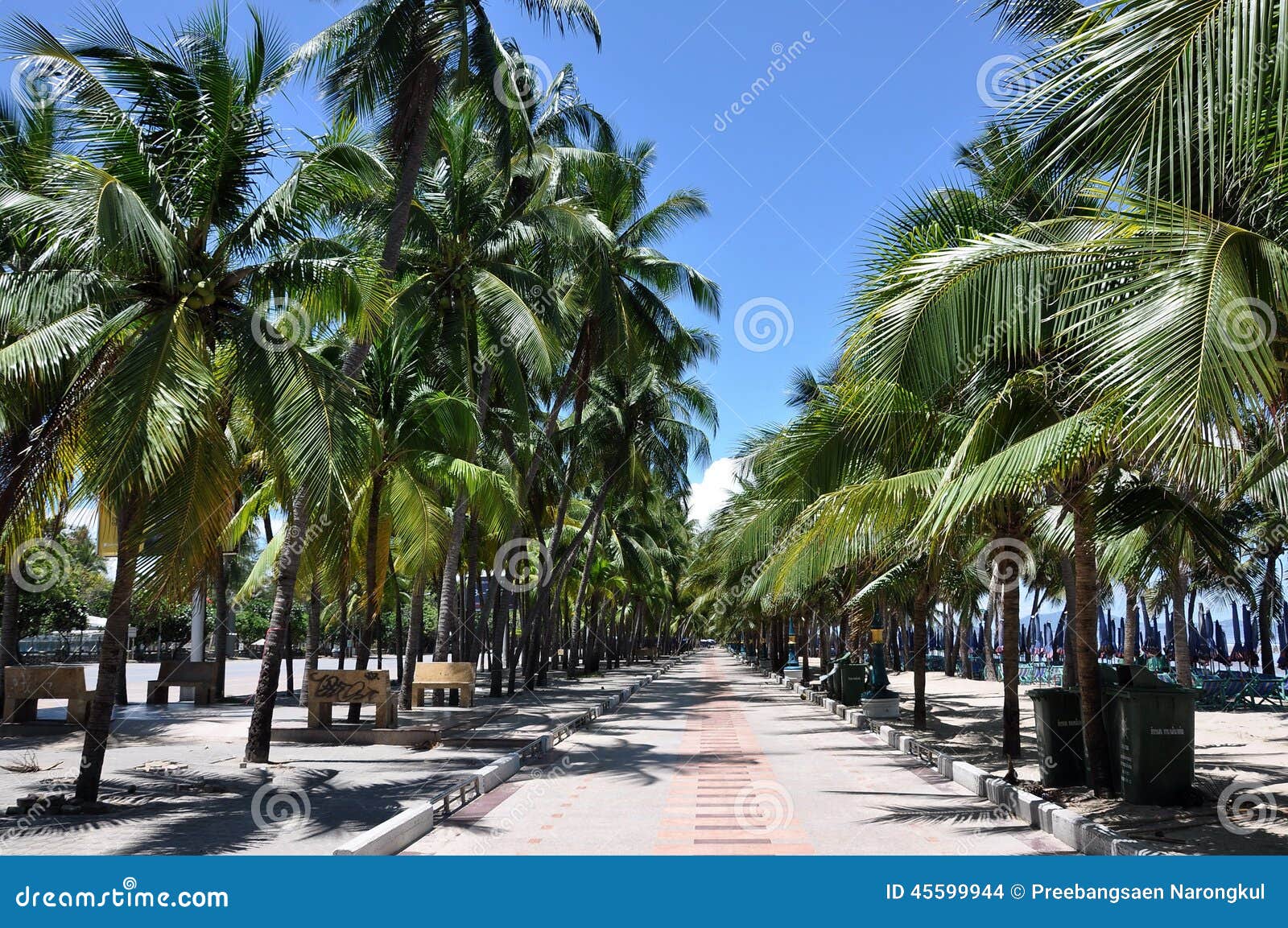 Bangsaen beach stock photo. Image of bangsaen, coconut - 45599944