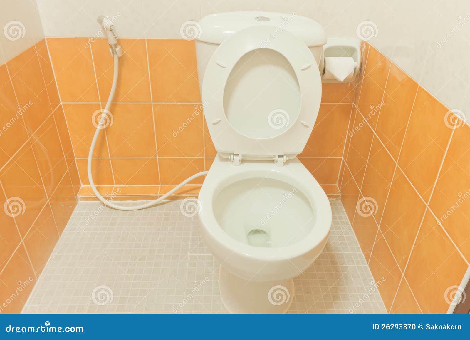 Banheiro do toalete limpo. foto de stock. Imagem de projeto - 26293870