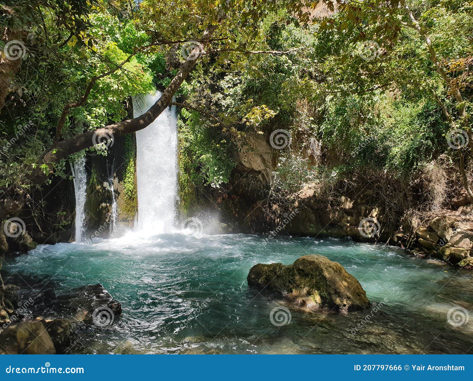 Banias Waterfall in Hermon Stream (Banias) Nature Reserve Israel Stock ...
