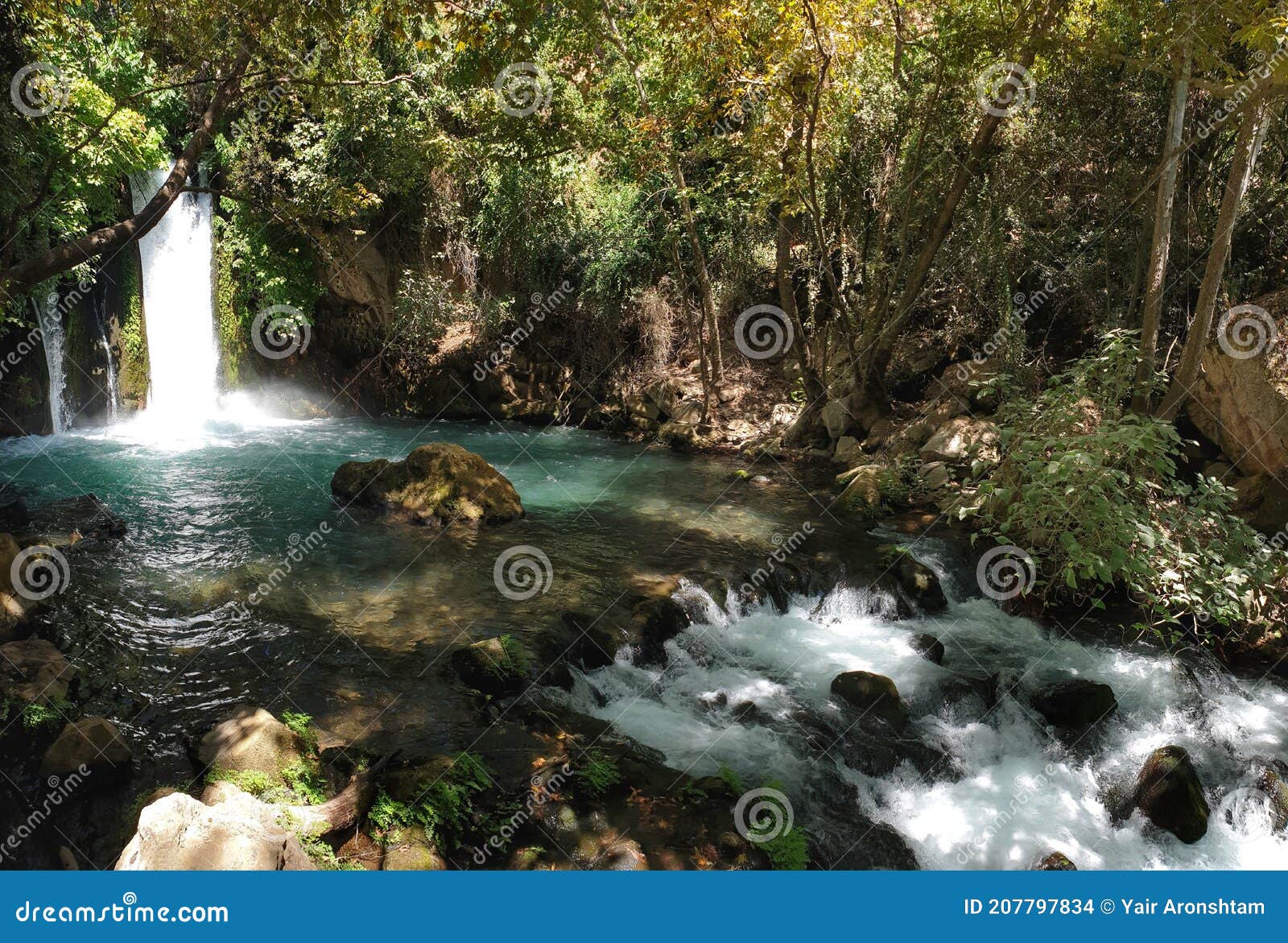 Banias Waterfall in Hermon Stream (Banias) Nature Reserve Israel Stock ...