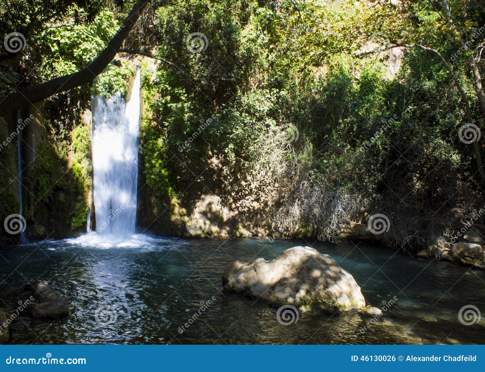 Banias Waterfall and park stock photo. Image of rock - 46130026