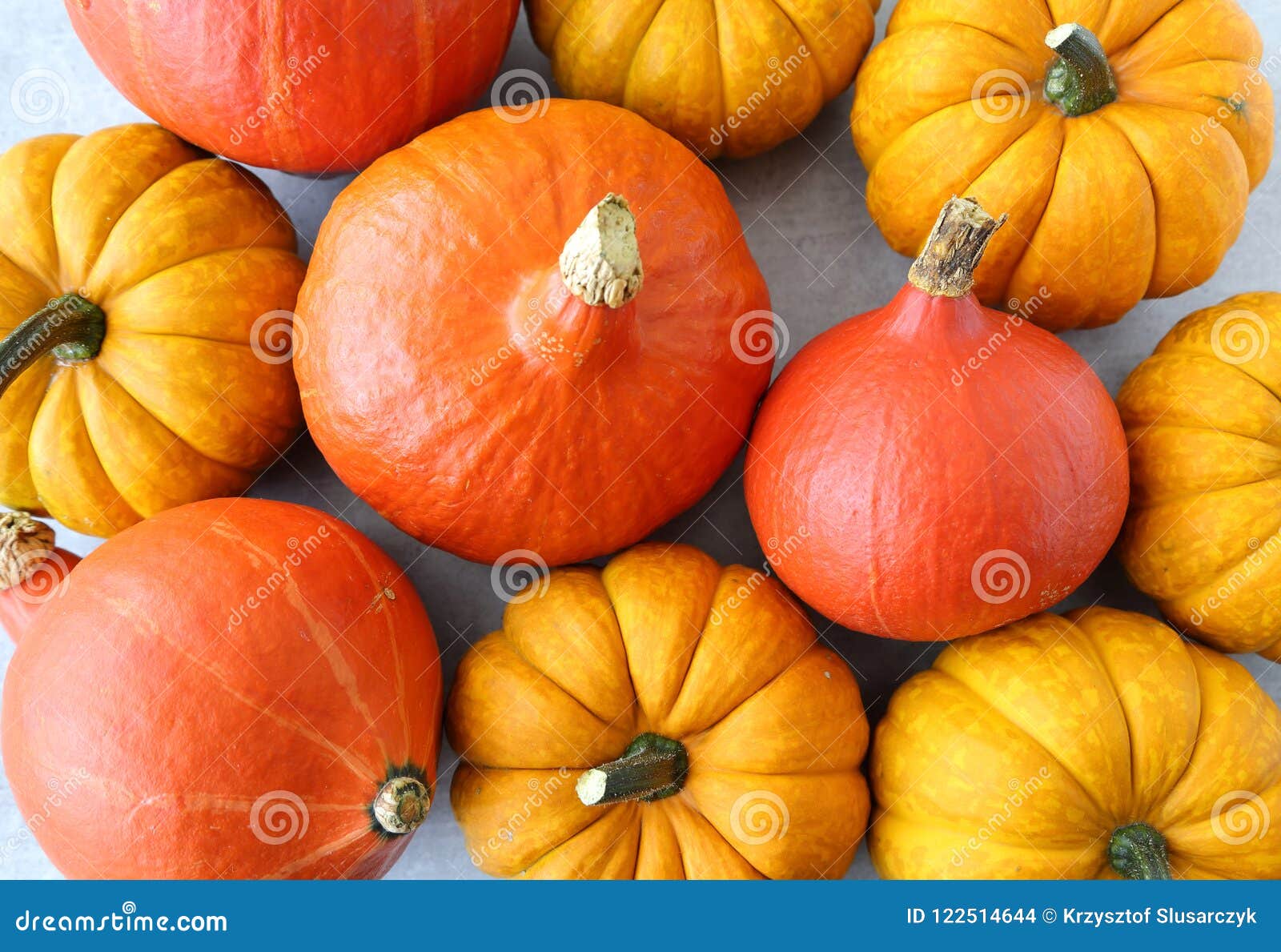 Banie i kabaczek zdjęcie stock. Obraz złożonej z pomarańcze - 122514644