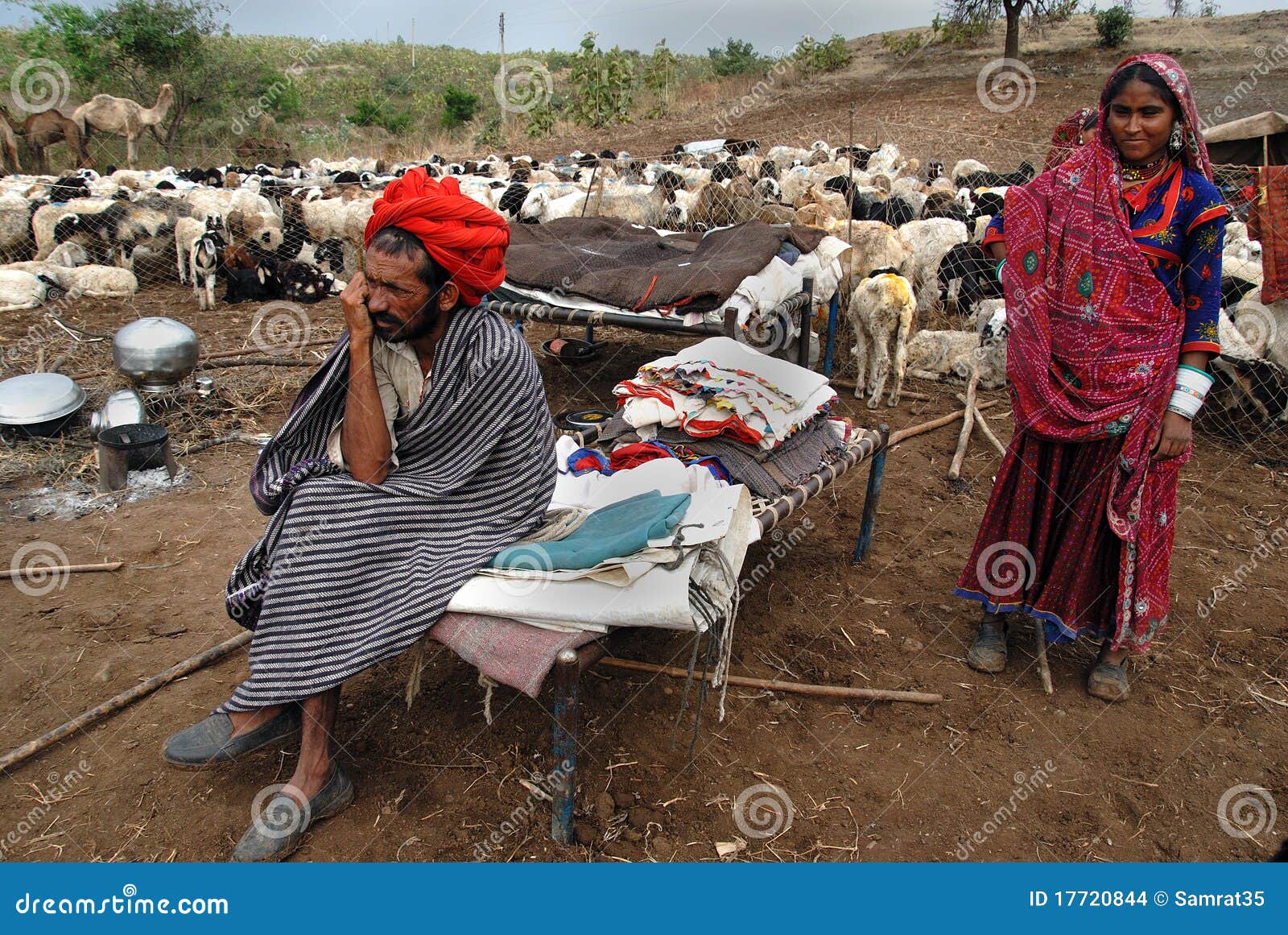 Banjara Tribes in India editorial stock image. Image of sheep - 17720844