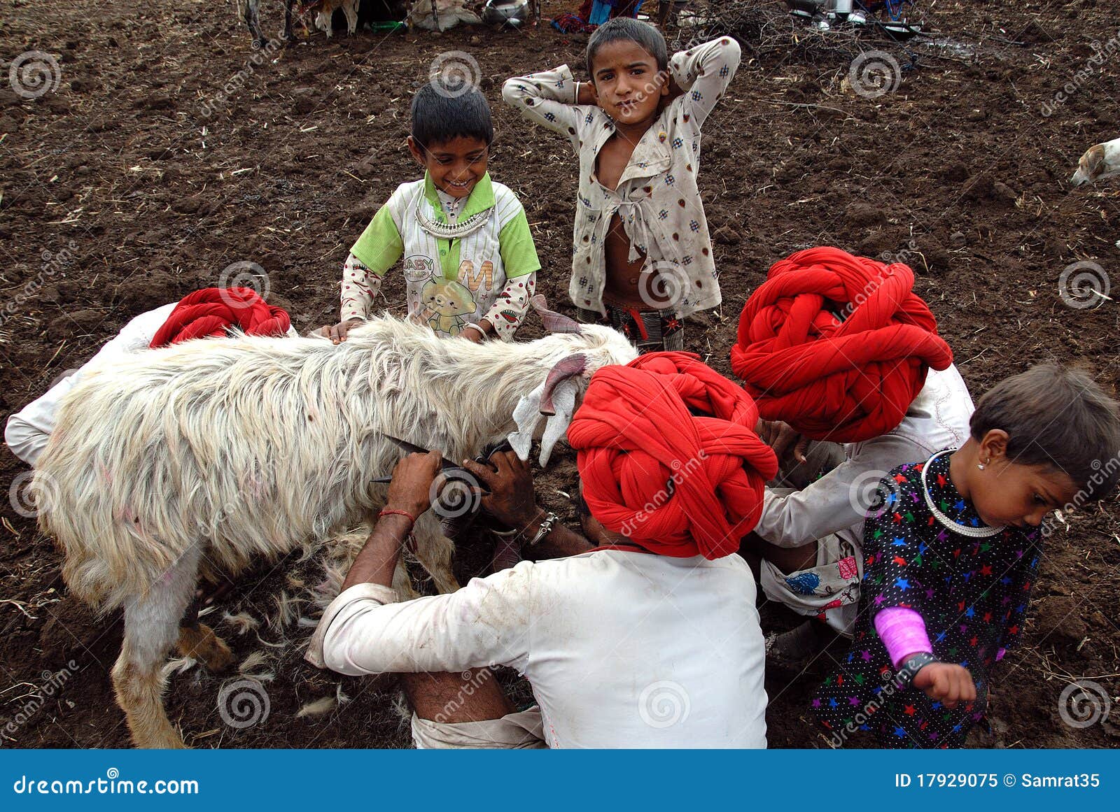 Banjara Tribes in India editorial image. Image of farm - 17929075