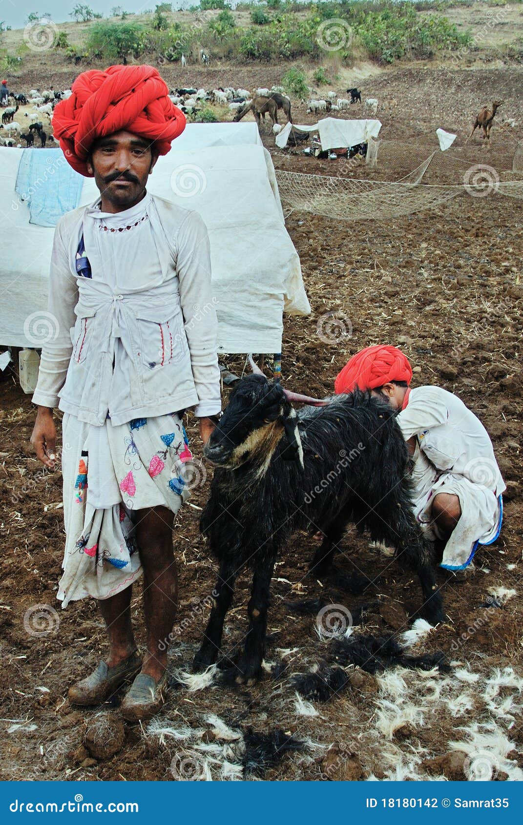 Banjara Tribes in India editorial photography. Image of animal - 18180142
