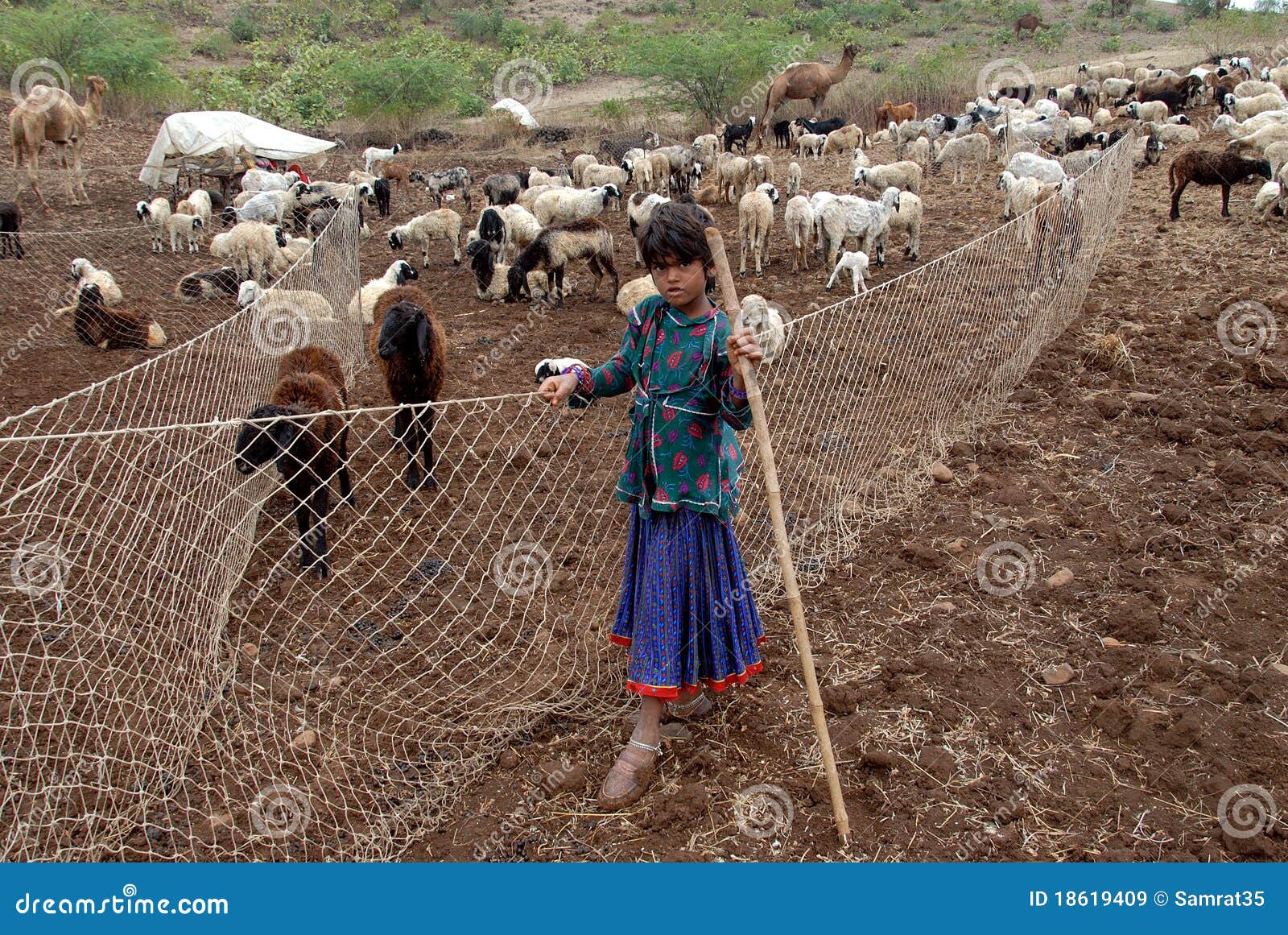 Banjara Tribes in India editorial stock image. Image of culture - 18619409