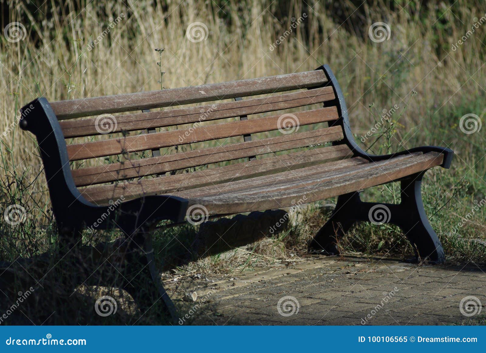 Bank stockbild. Bild von gras, bank, sommer, italien - 100106565