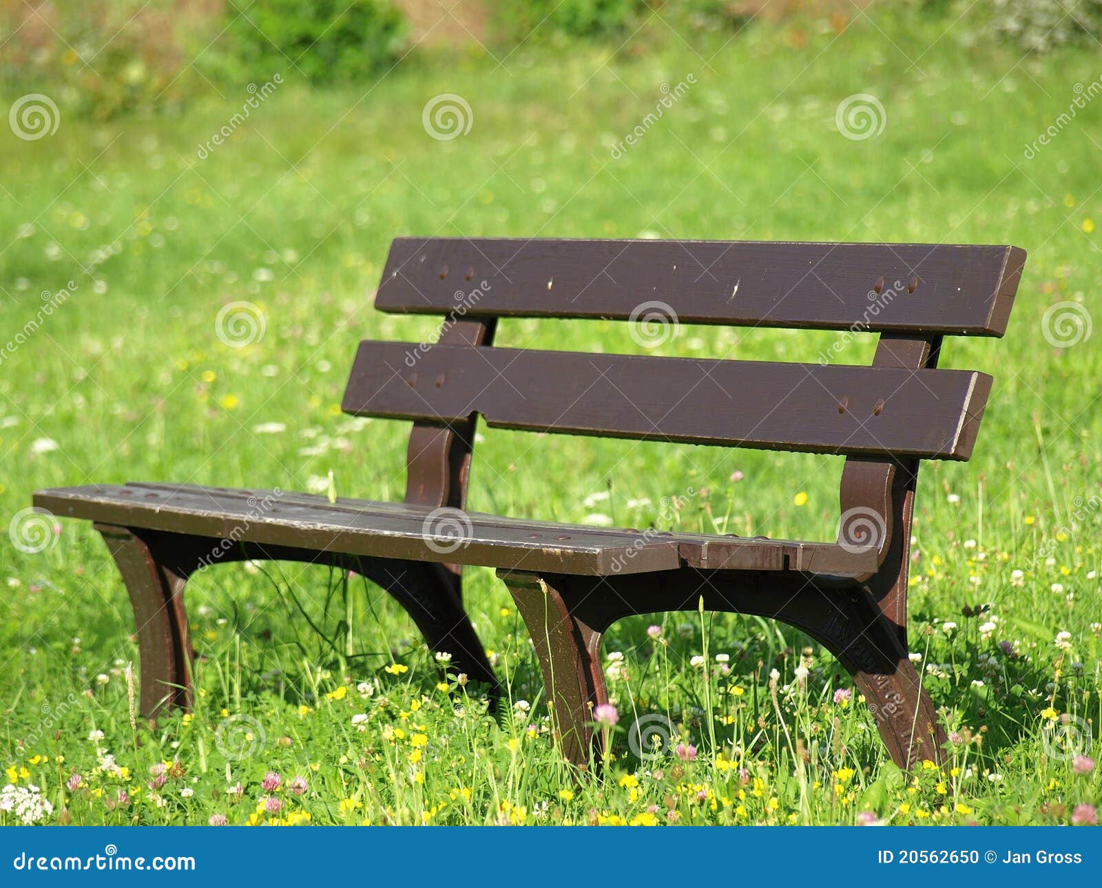 Bank auf Gras stockfoto. Bild von stuhl, pfad, park, herbst - 20562650
