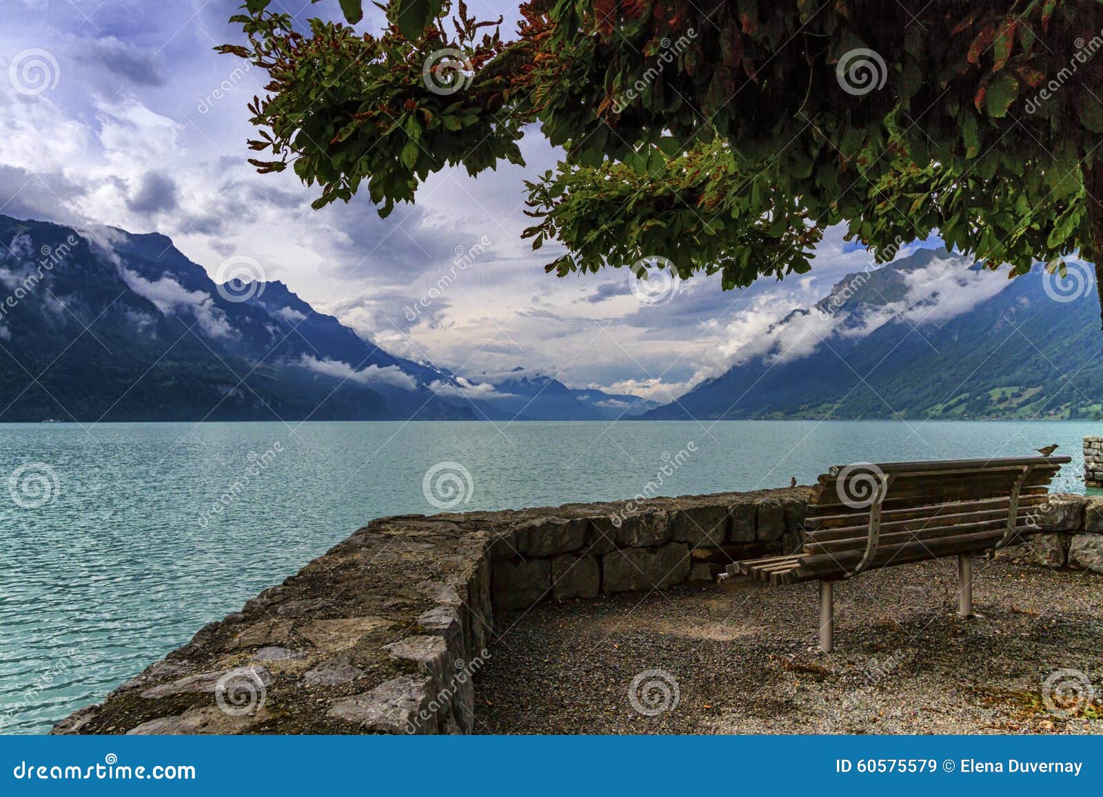 Bank am Brienz See, Die Schweiz Stockbild - Bild von schön, ruhe: 60575579