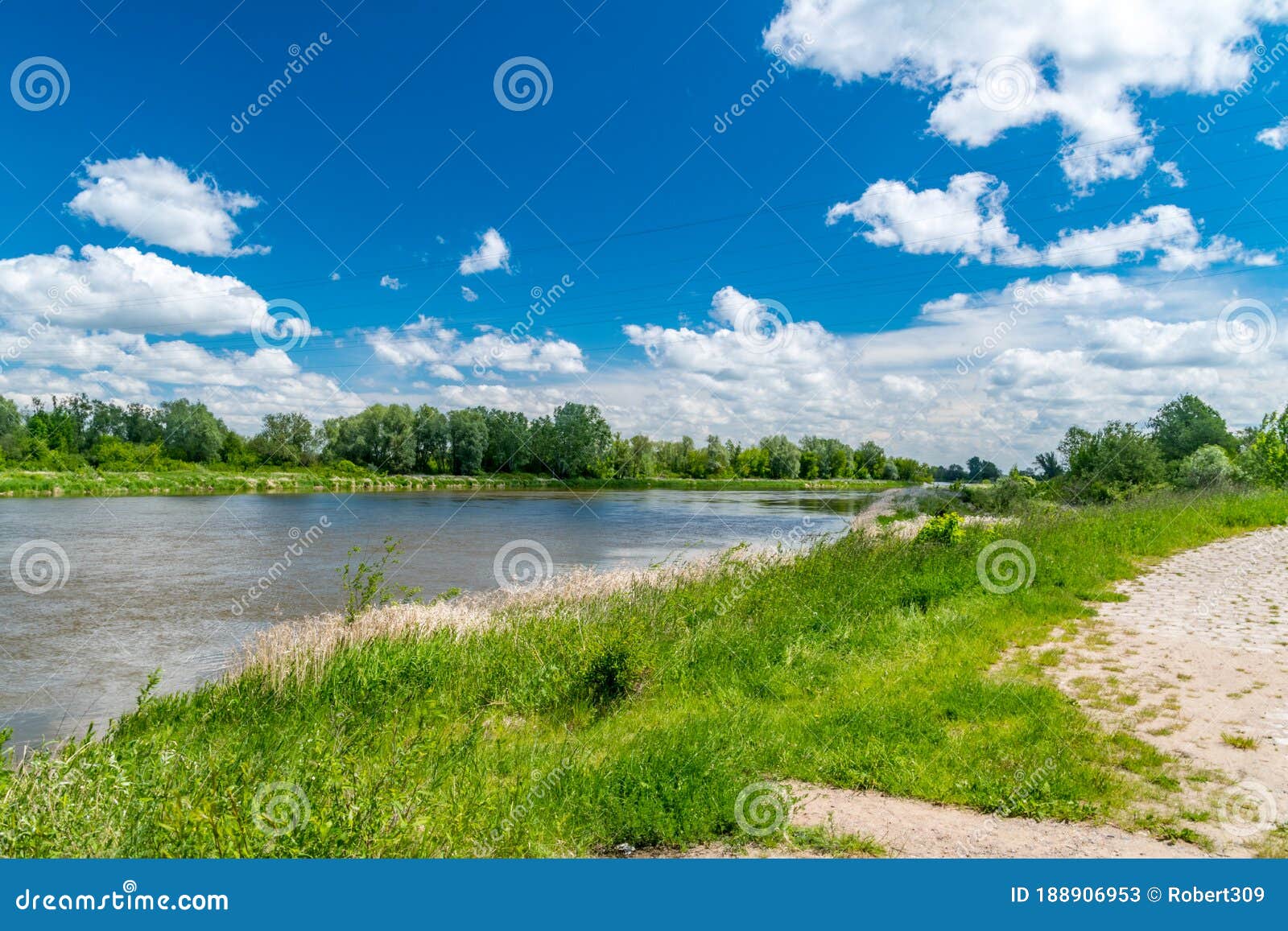 Bank of Bug River in Poland Stock Image - Image of europe, grass: 188906953