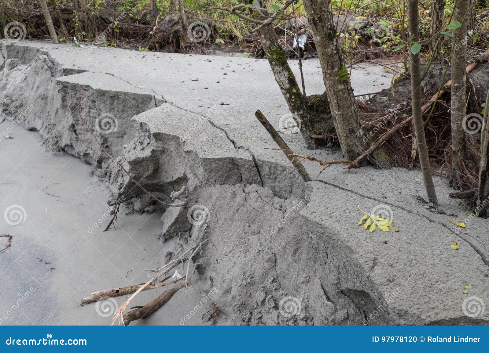 Bank with erosion stock photo. Image of timber, erosion - 97978120