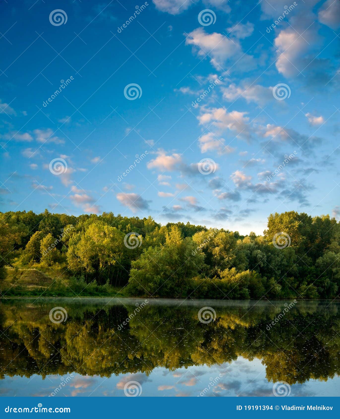 Bank of forest river stock photo. Image of rural, quiet - 19191394