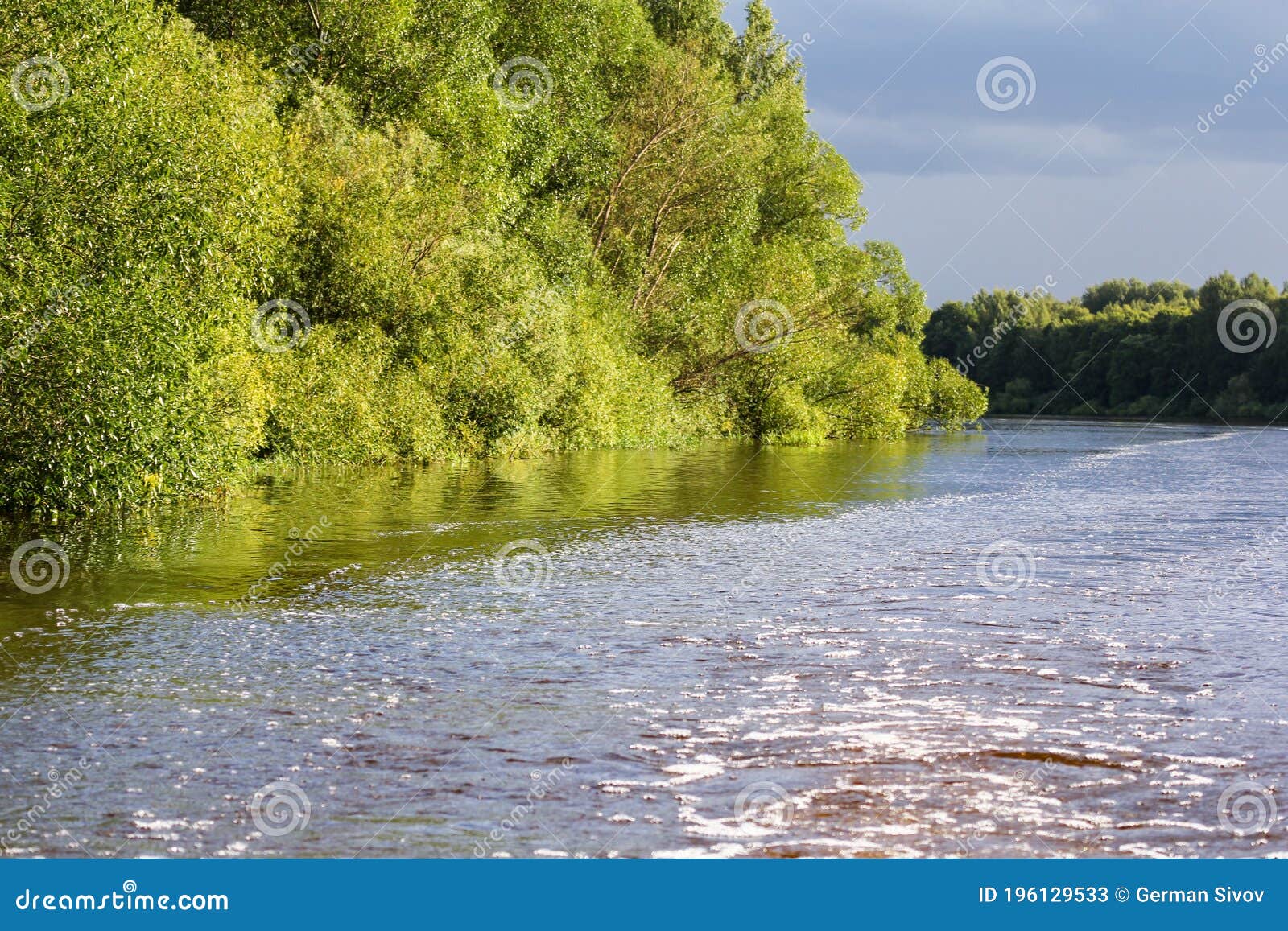 Bank of the forest river stock image. Image of calm - 196129533