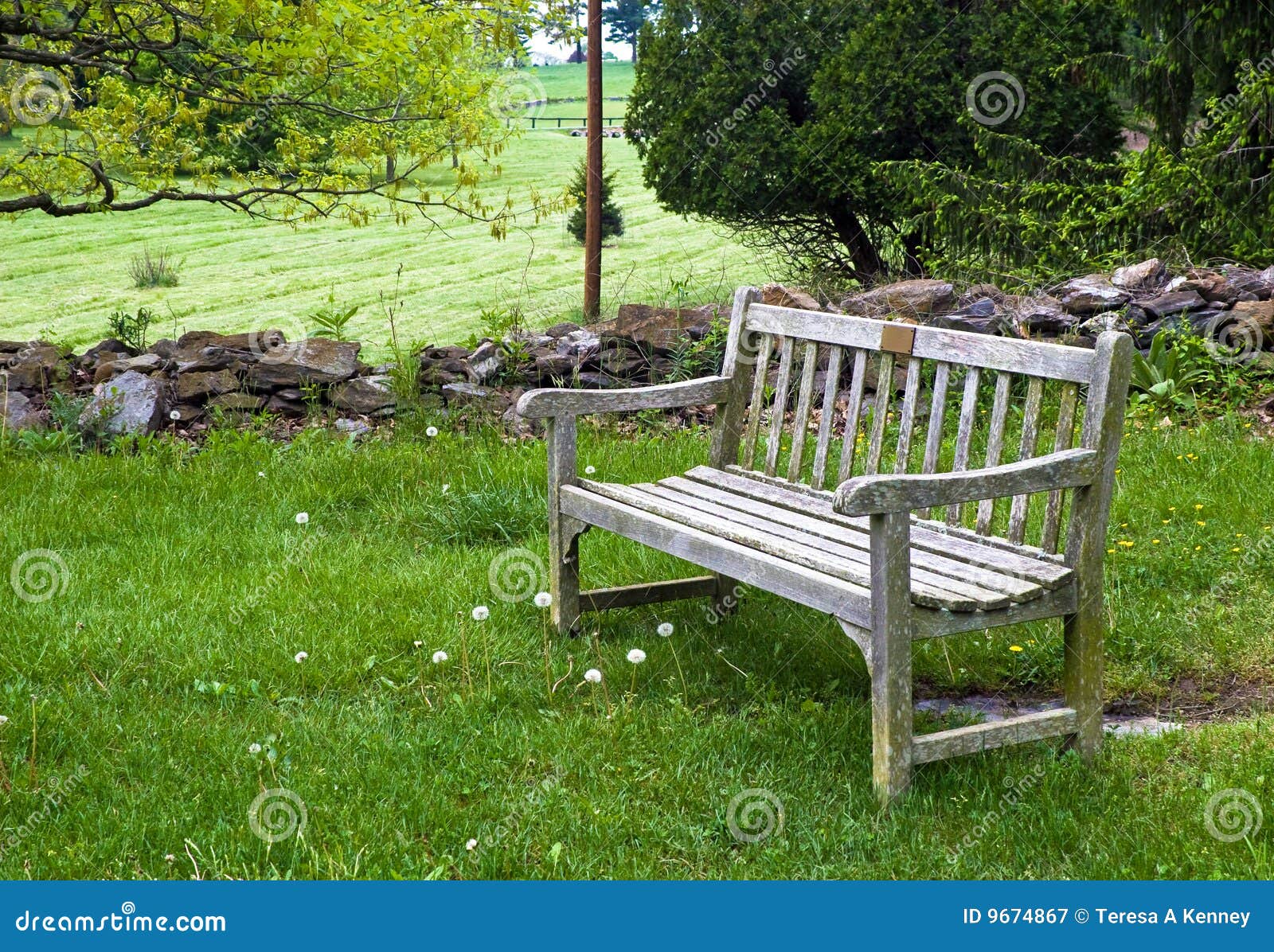 Bank im Gras-Bereich stockbild. Bild von landschaft, hinterhof - 9674867