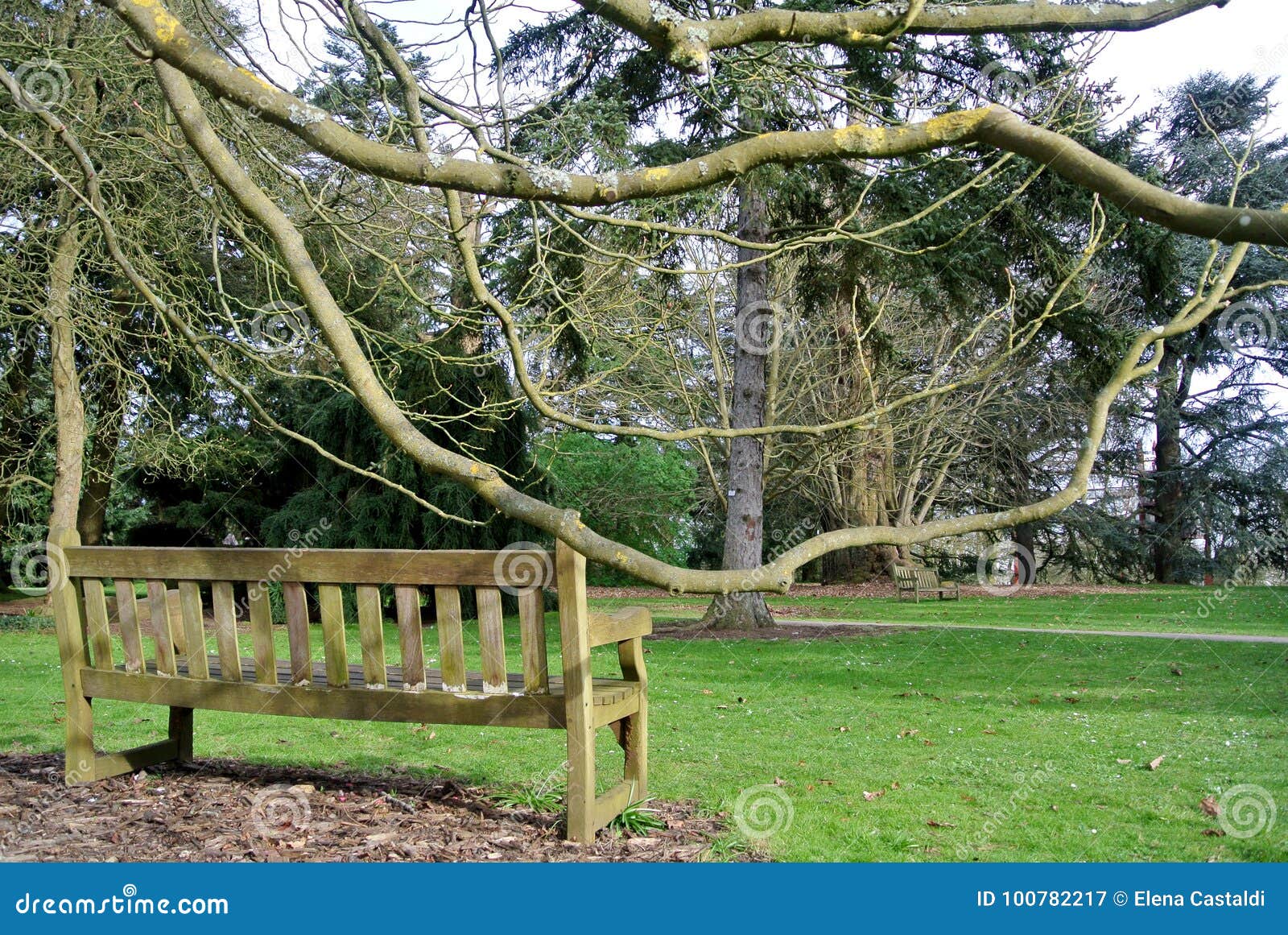 Bank im Park stockbild. Bild von bahn, allee, park, feld - 100782217
