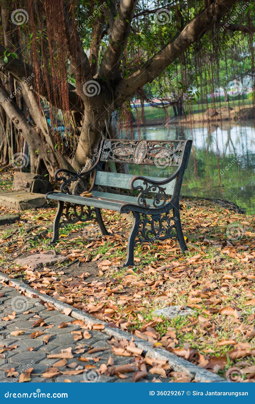Bank im Park stockbild. Bild von verminderung, fallen - 36029267
