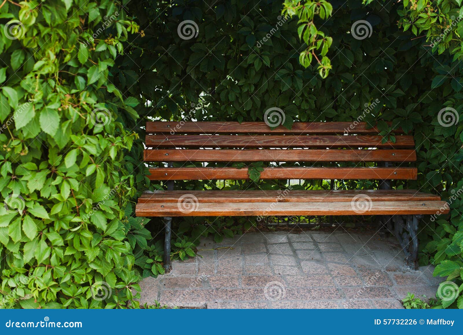 Bank im Park stockfoto. Bild von stuhl, öko, blume, blätter - 57732226