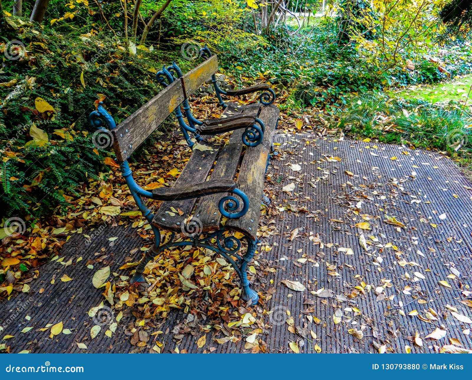 Bank Im Park Mit Los Herbstlaub Stockfoto - Bild von wald, bank: 130793880