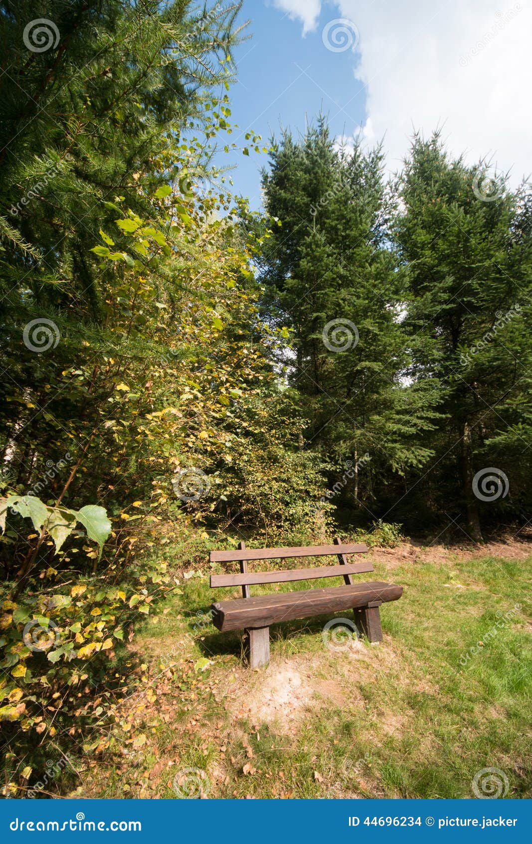 Bank im Wald stockfoto. Bild von blau, landwirtschaftlich - 44696234
