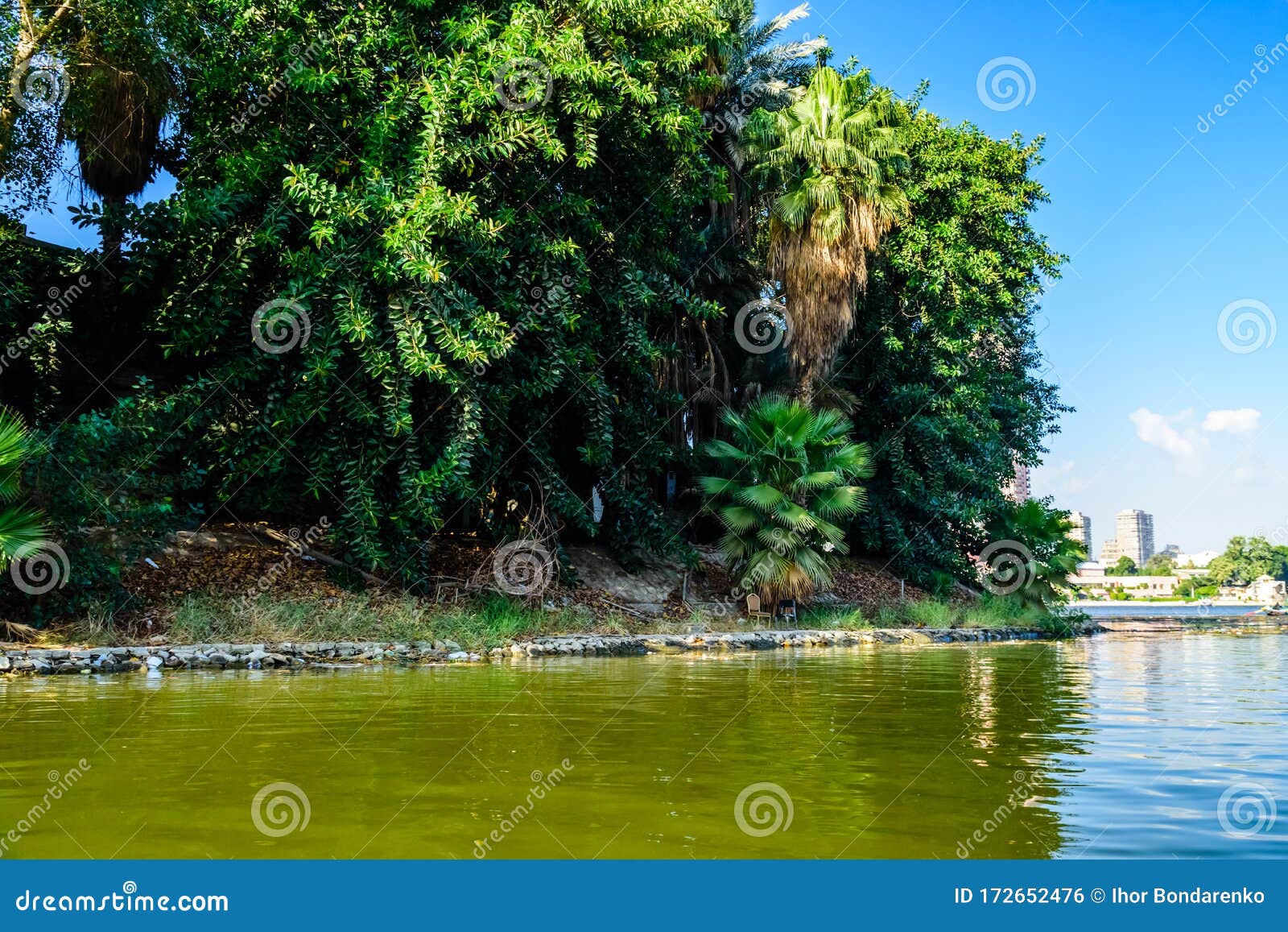 Bank of the Nile River in Cairo, Egypt Stock Photo - Image of coast ...