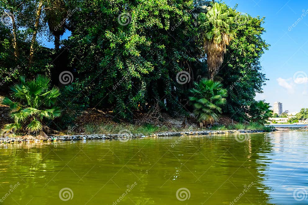 Bank of the Nile River in Cairo, Egypt Stock Photo - Image of ...