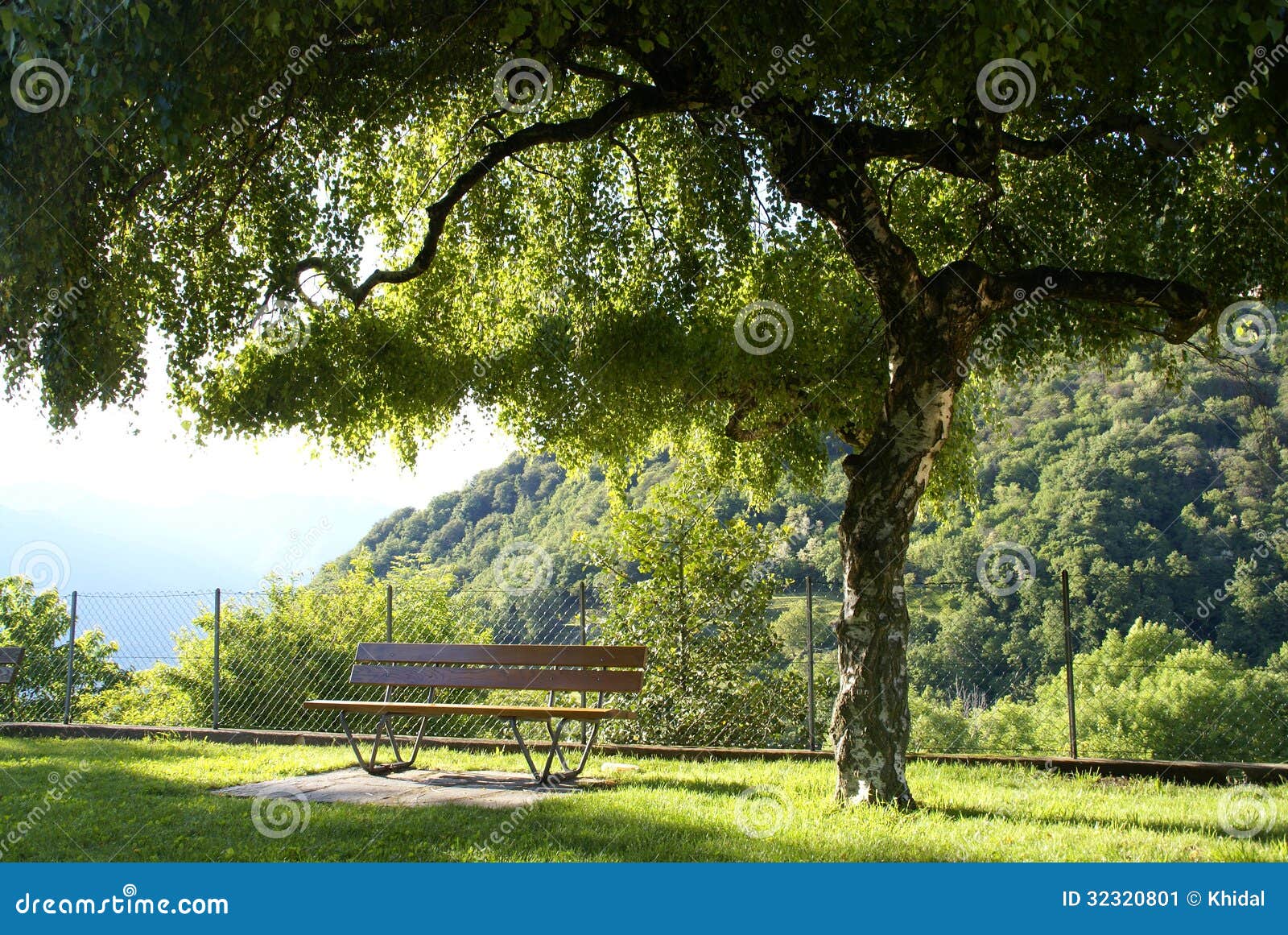 Bank onder boom stock afbeelding. Image of groen, boom - 32320801