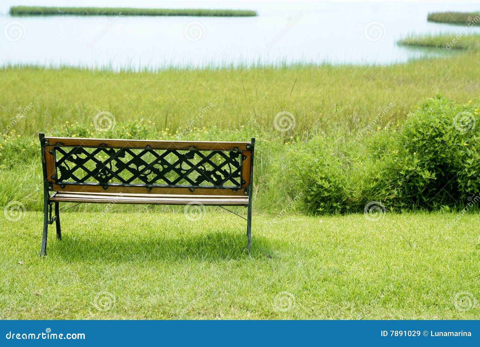 Bank Over Het Groene Gras Op Het Meer Stock Afbeelding - Image of gras ...