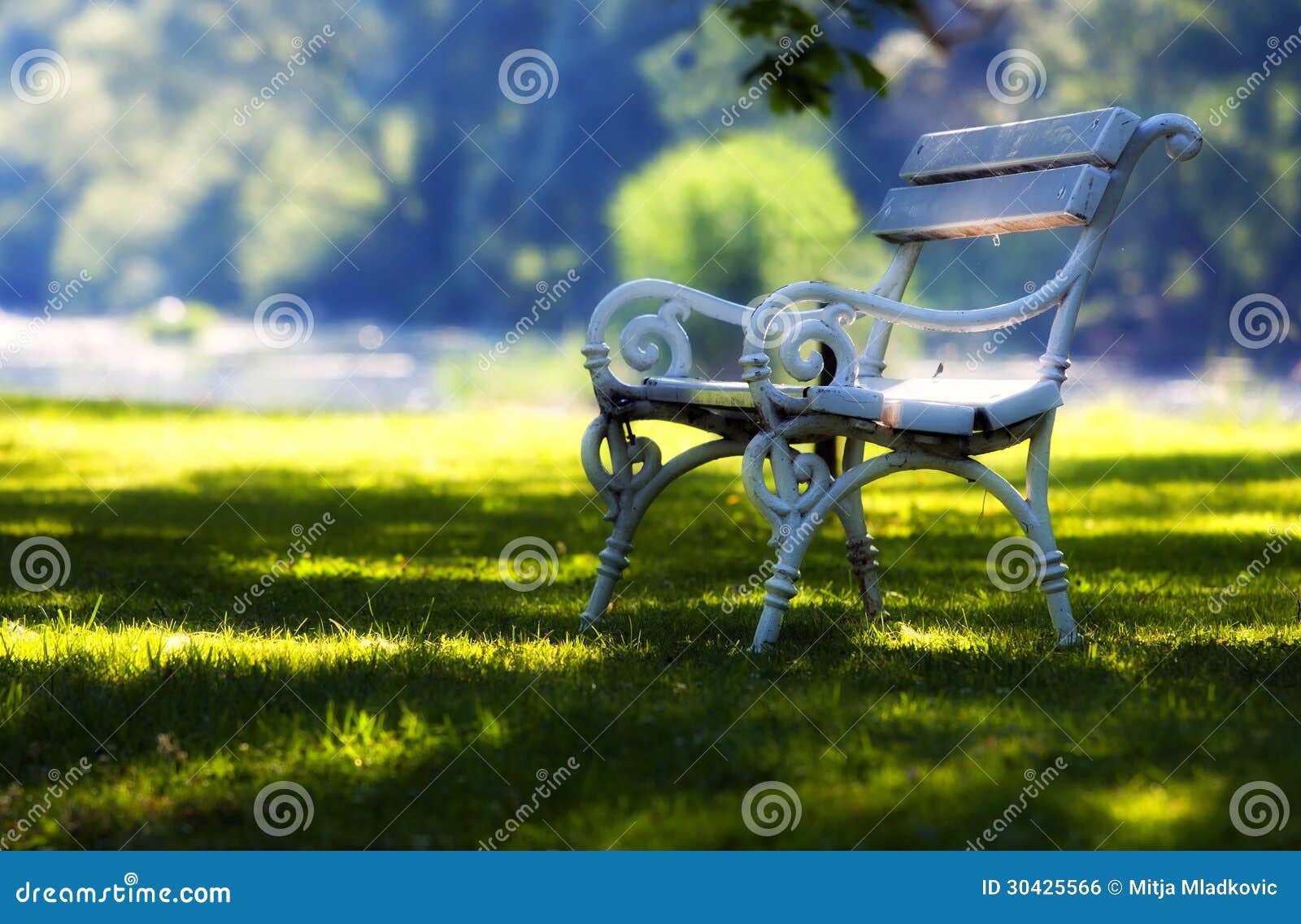 Bank in park stock foto. Image of één, nave, boom, leeg - 30425566