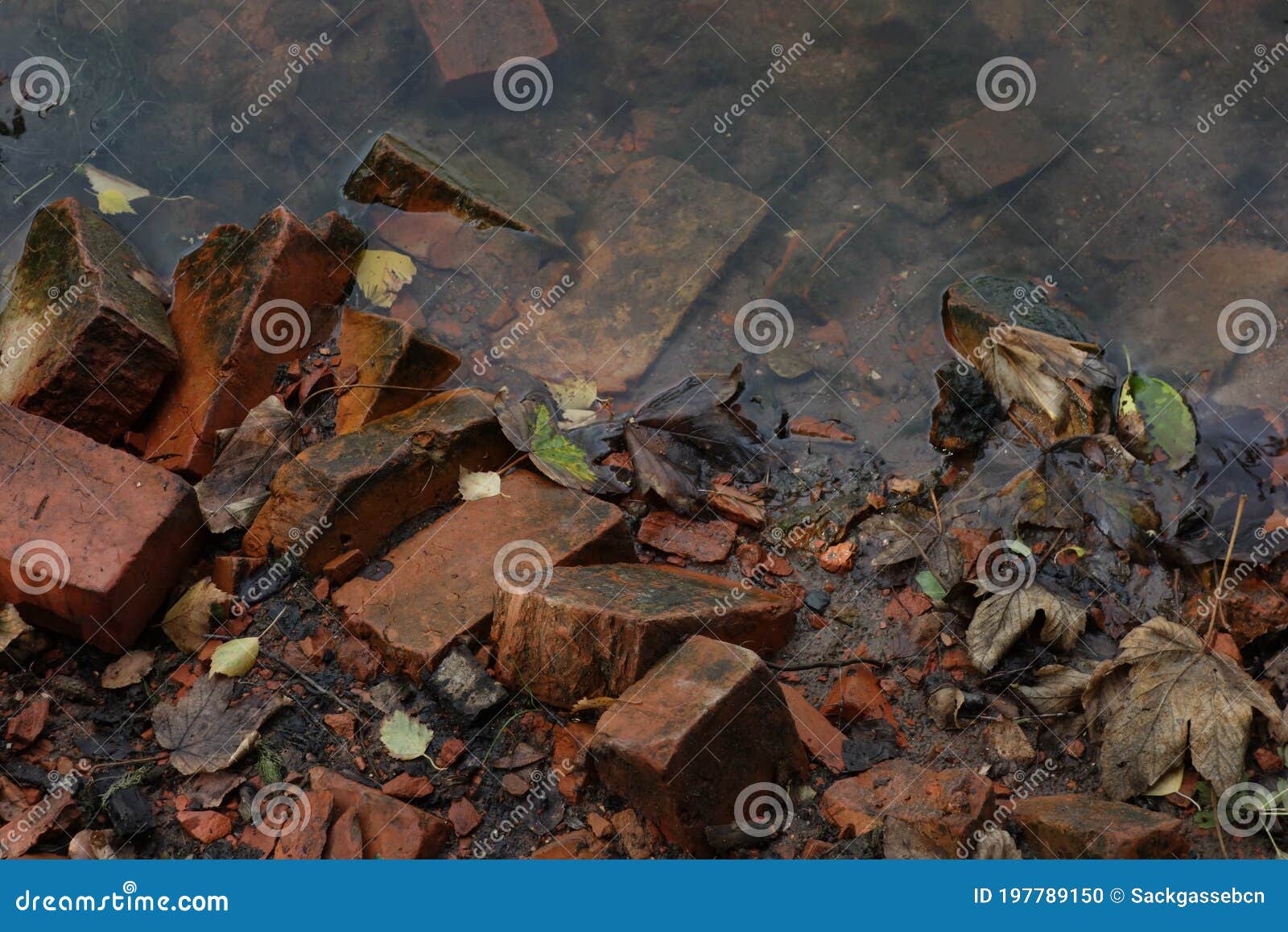 On the Bank of the Pond, Bricks, Fallen and Rotting Leaves, Water Stock ...