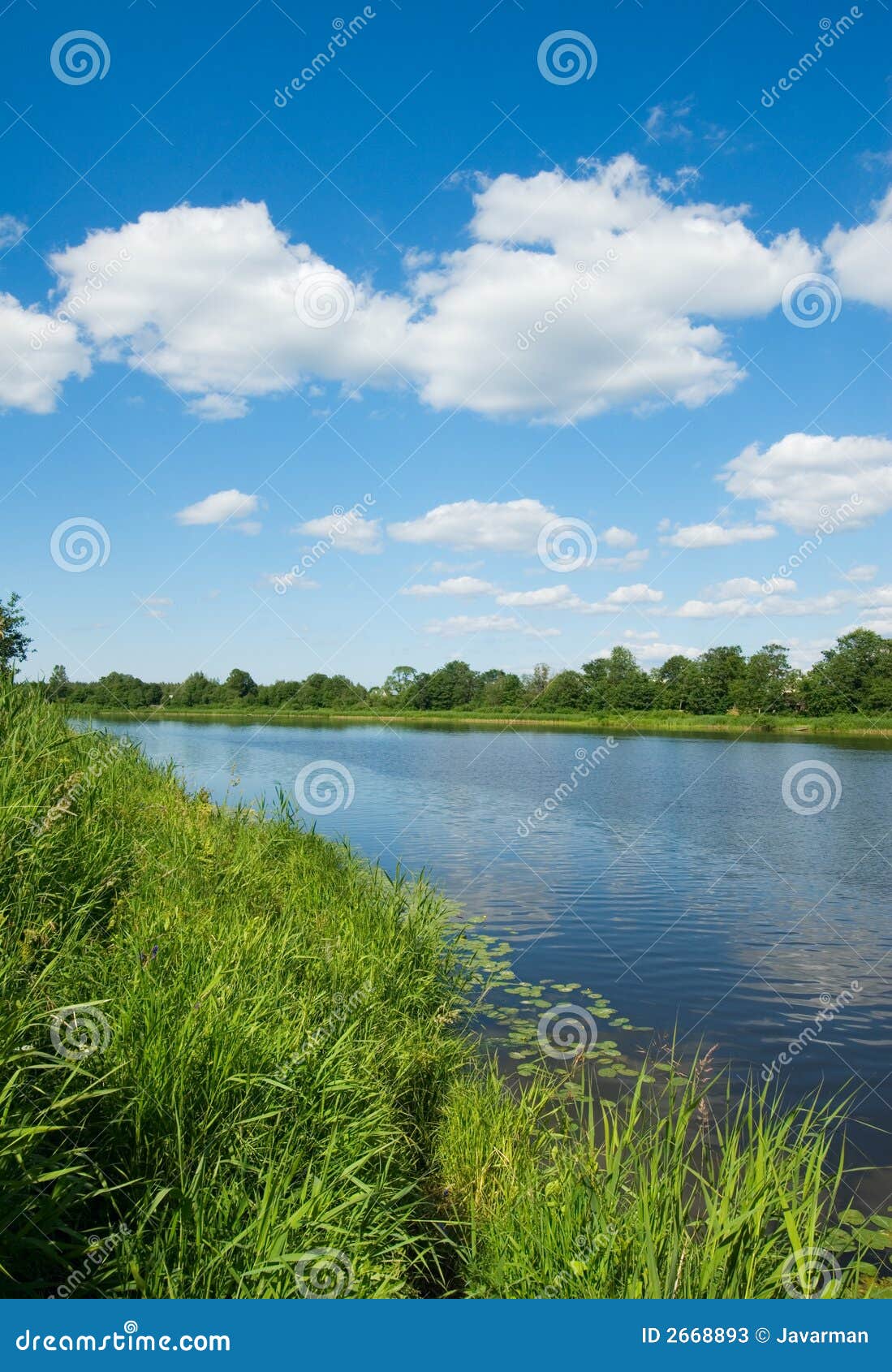 Bank of the river stock image. Image of springtime, rural - 2668893
