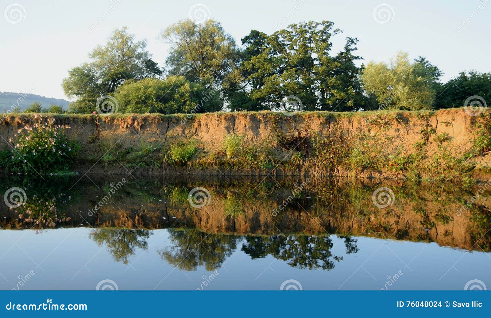 Bank of the River Axe stock photo. Image of summer, wetland - 76040024
