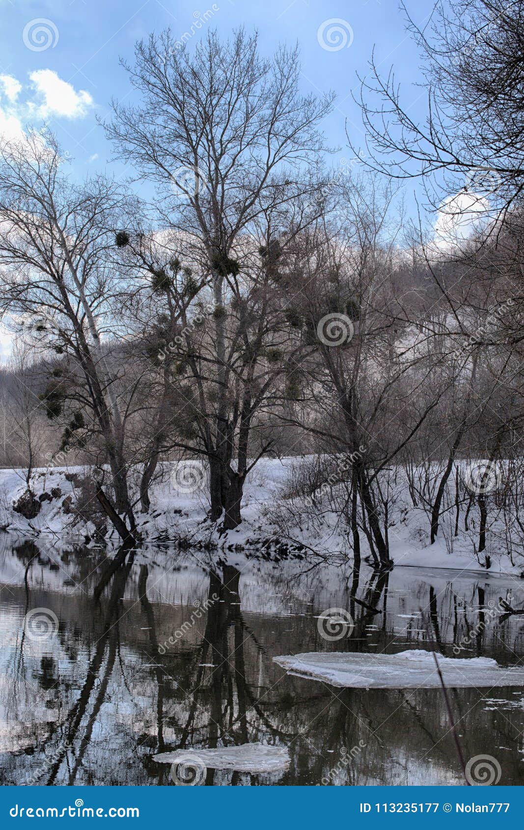 Riverbank in the spring stock image. Image of nature - 113235177