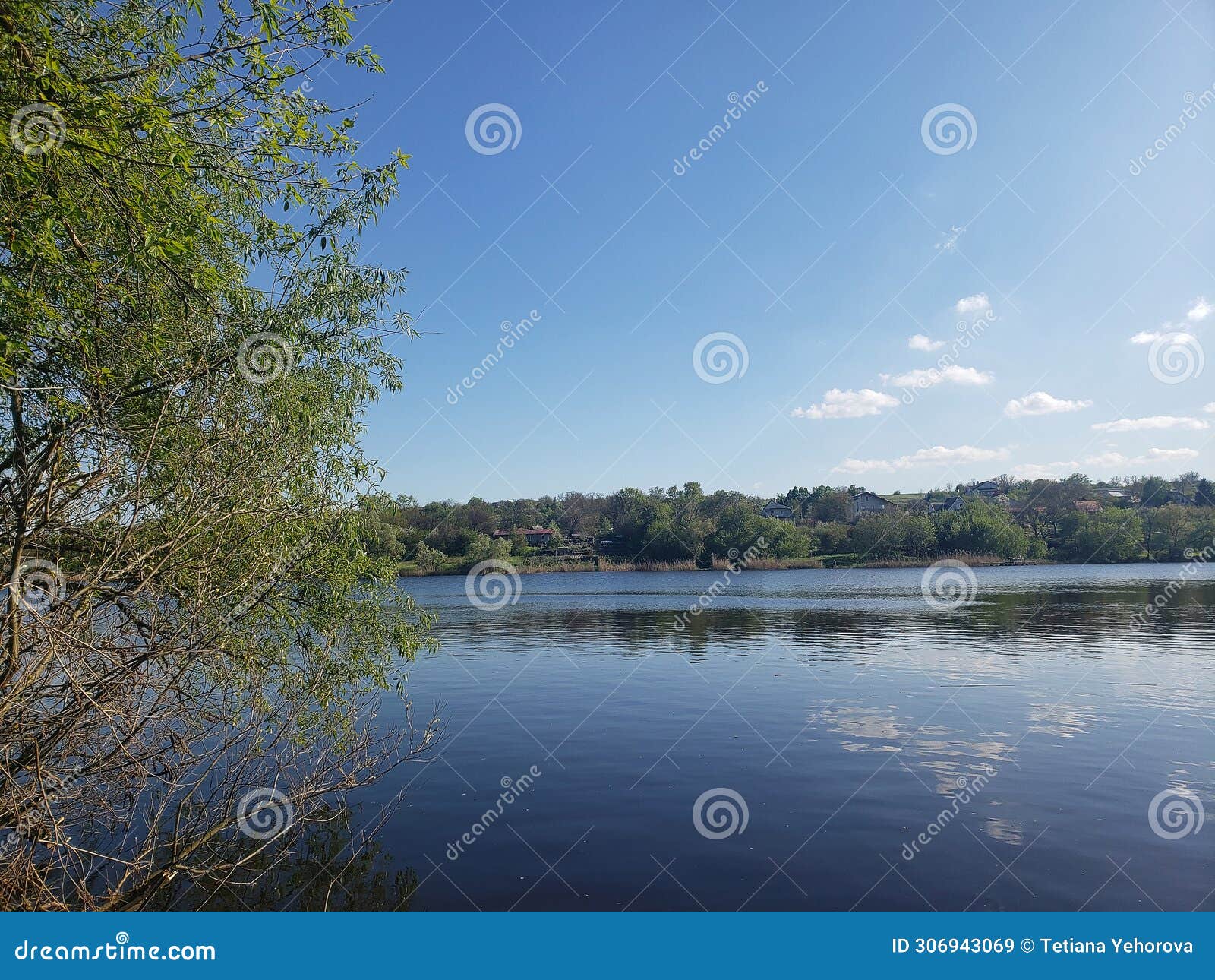 On the Bank of a Small River. Summer. Stock Image - Image of summer ...