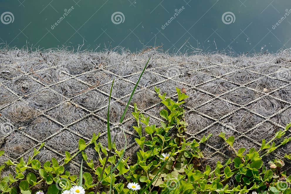 Bank stabilization stock photo. Image of erosion, level - 40375080