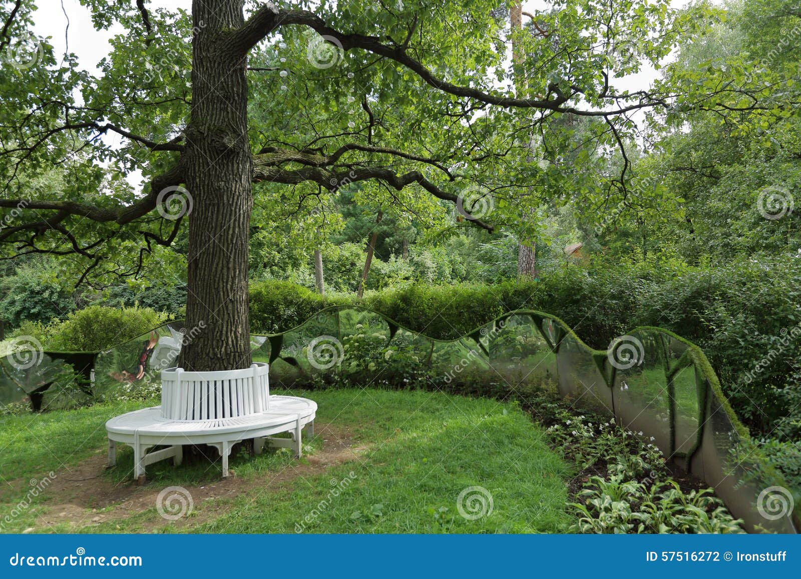 Bank um Baum stockfoto. Bild von standort, idee, betriebe - 57516272