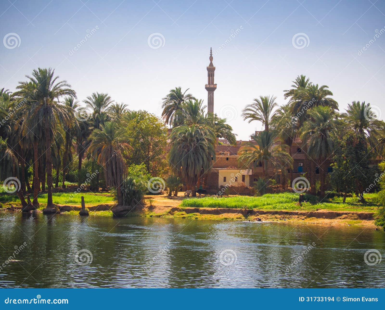 Bank of the Upper River Nile Editorial Stock Image - Image of egypt ...
