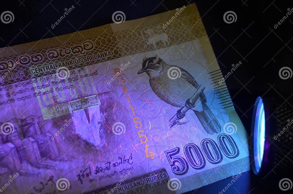 Banknote glow under UV stock image. Image of bill, money - 37137891