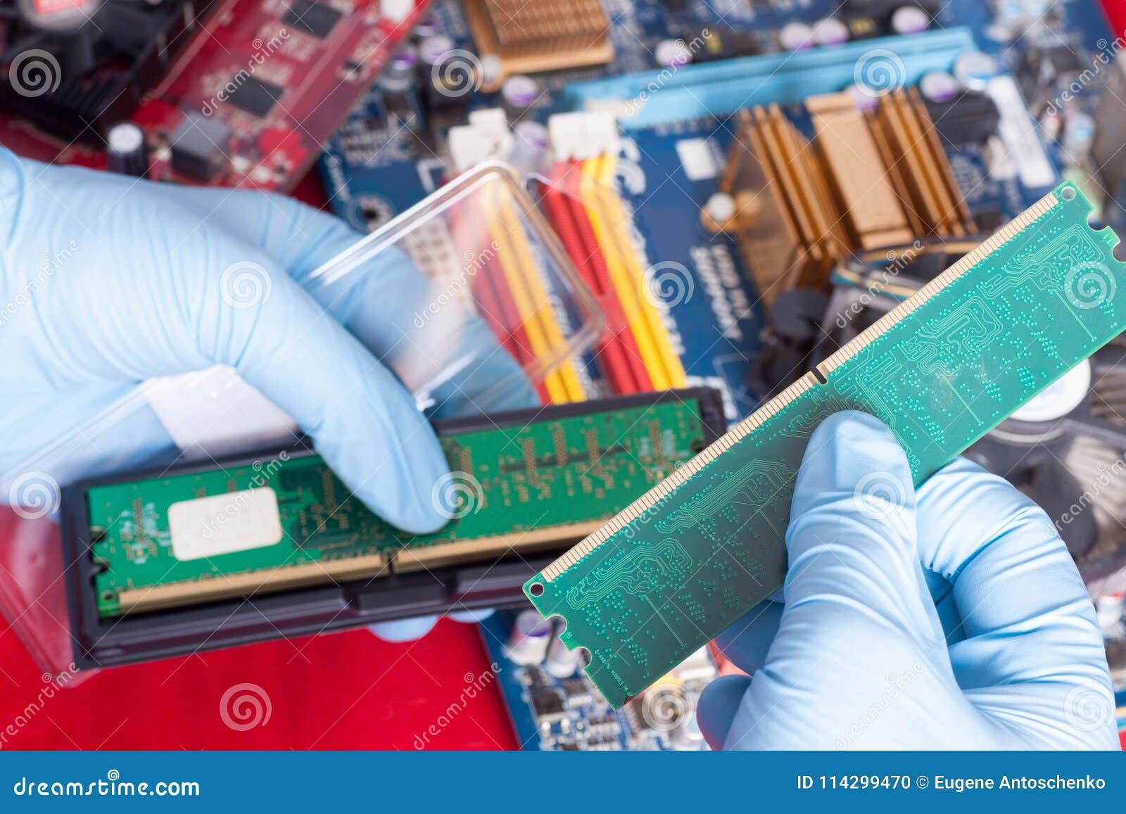 Banks of Memory in Hands before Inserting To PC Mainboard Stock Photo ...